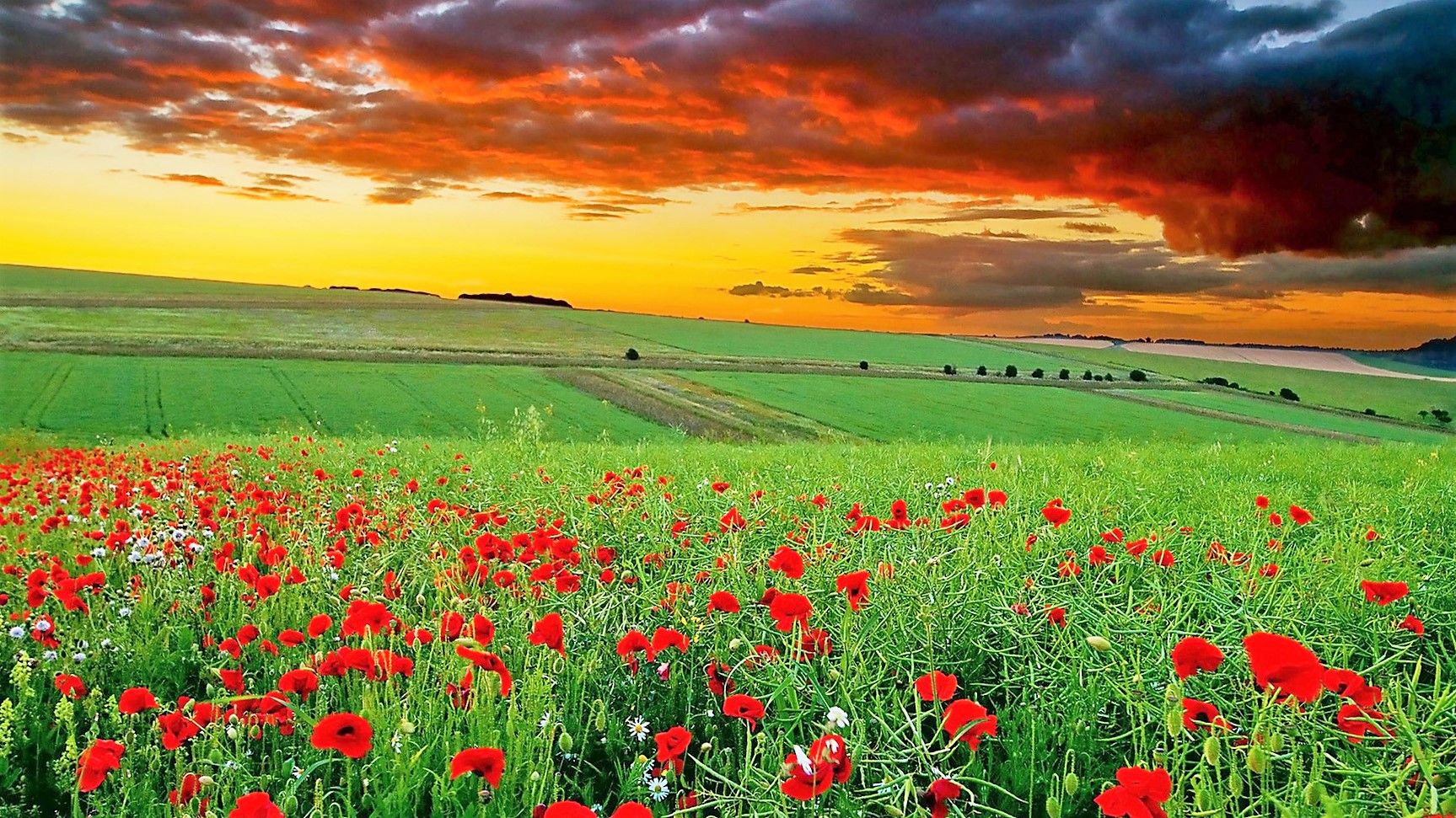 HD Wallpapers Download - Wallpaper Cave