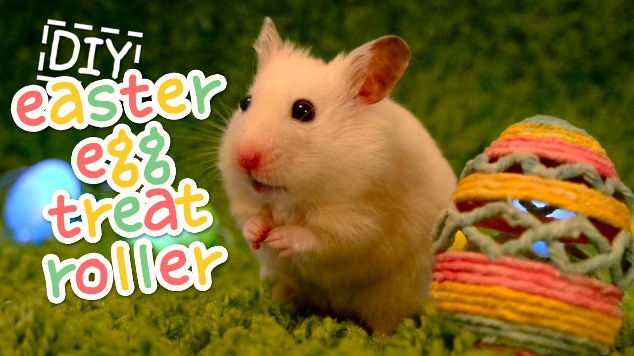 Easter Hamsters Wallpapers - Wallpaper Cave