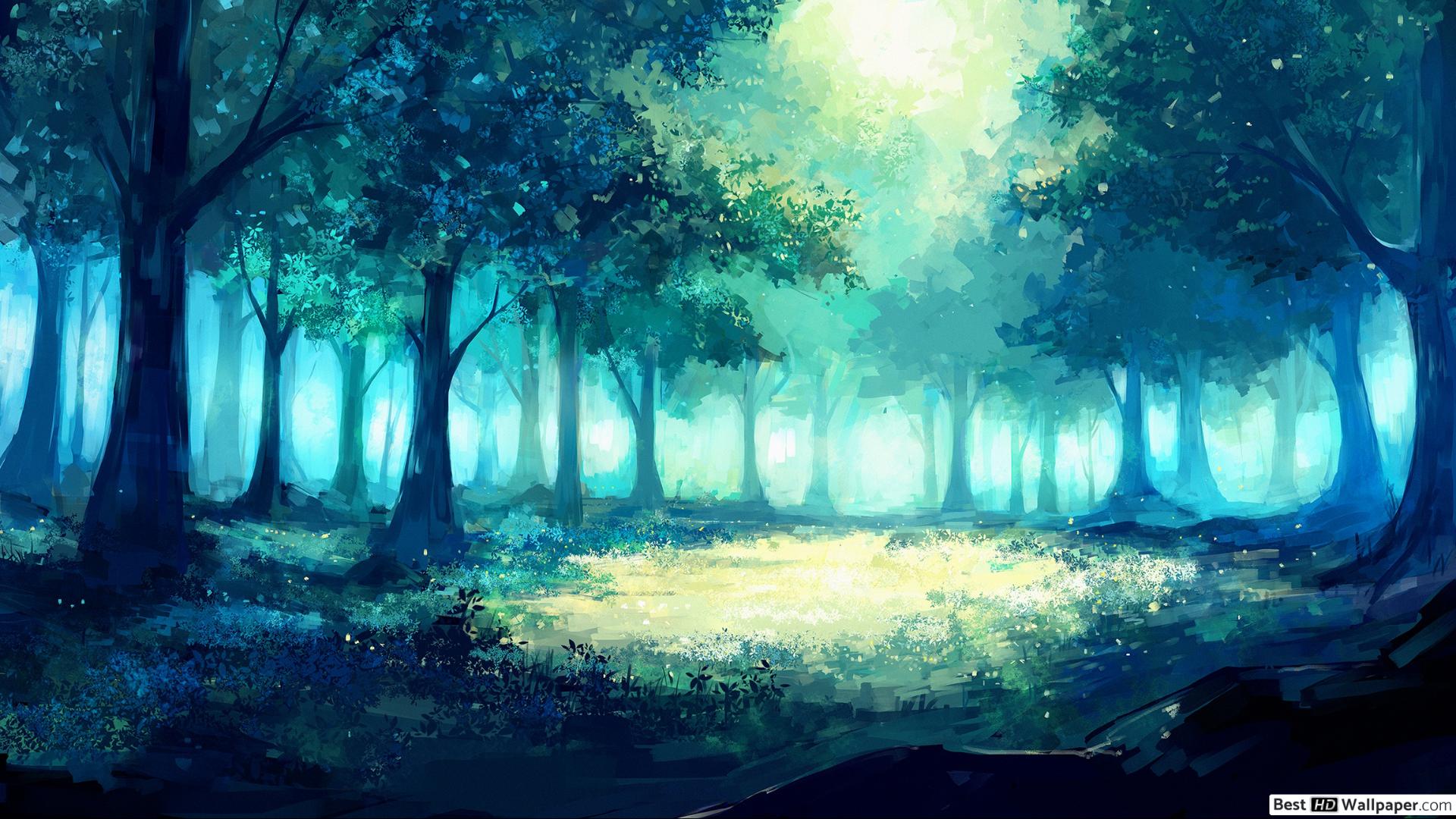 Quite Deep Forest HD Desktop Wallpapers - Wallpaper Cave