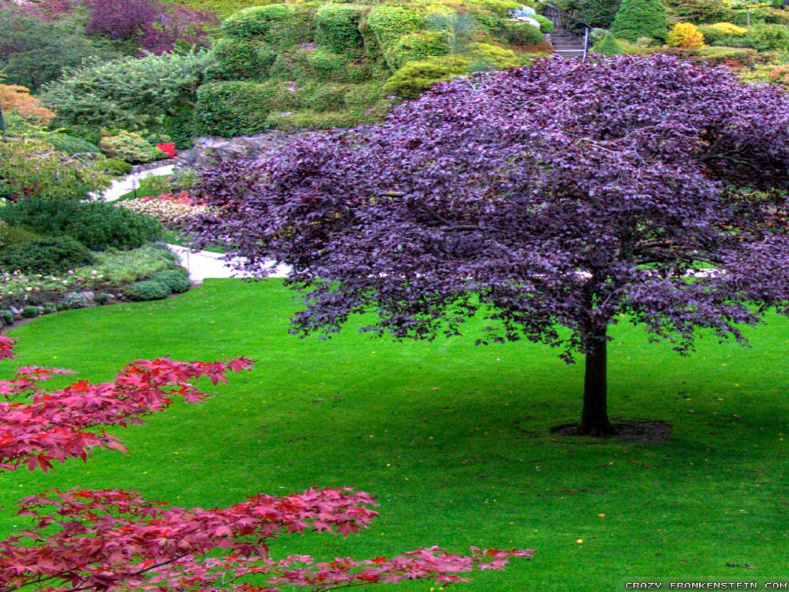 Spring Fields HD Wallpapers - Wallpaper Cave