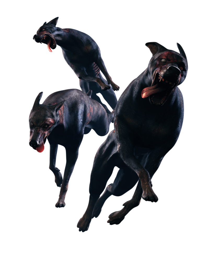 Zombie Dogs Wallpapers - Wallpaper Cave