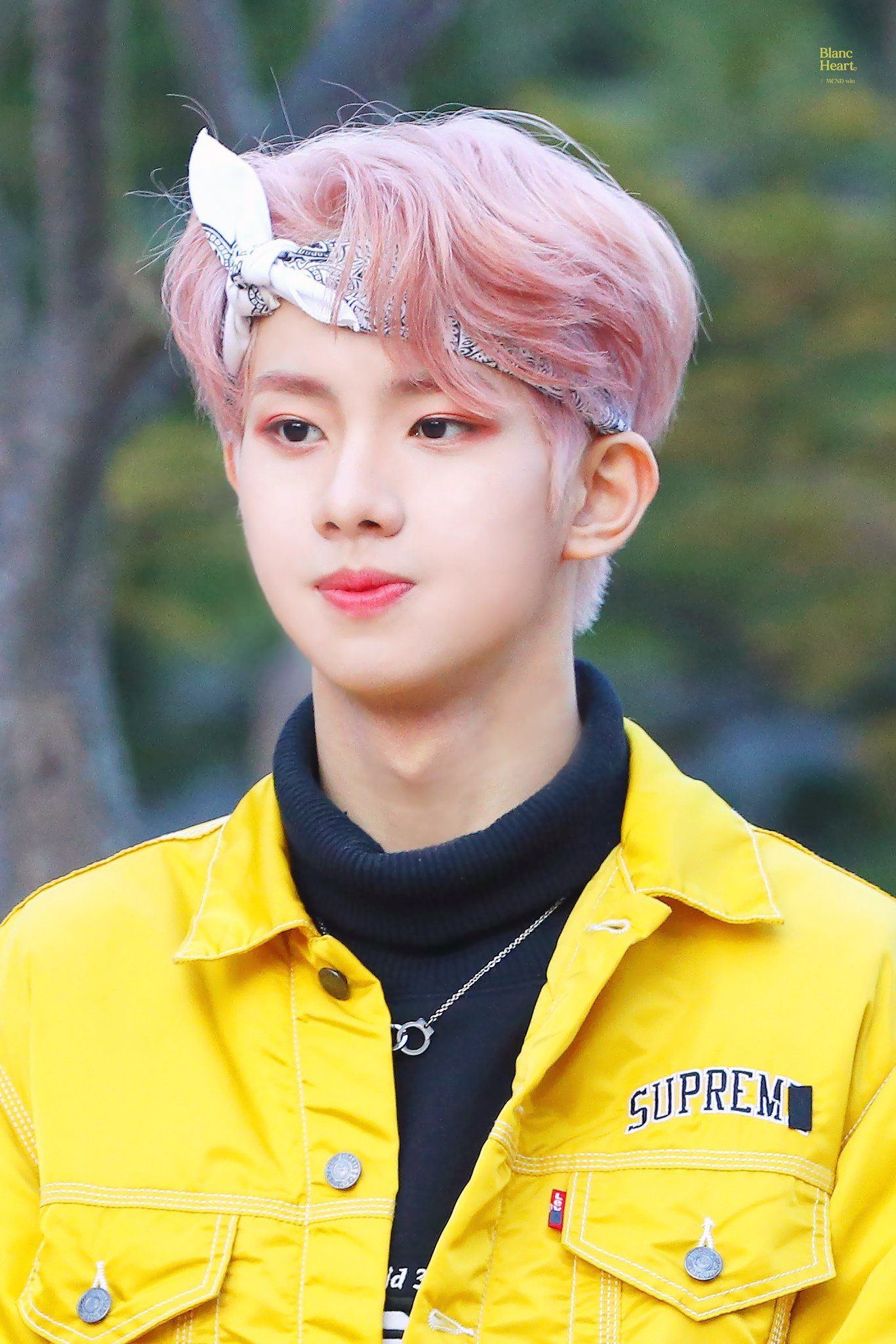 MCND Wallpapers - Wallpaper Cave