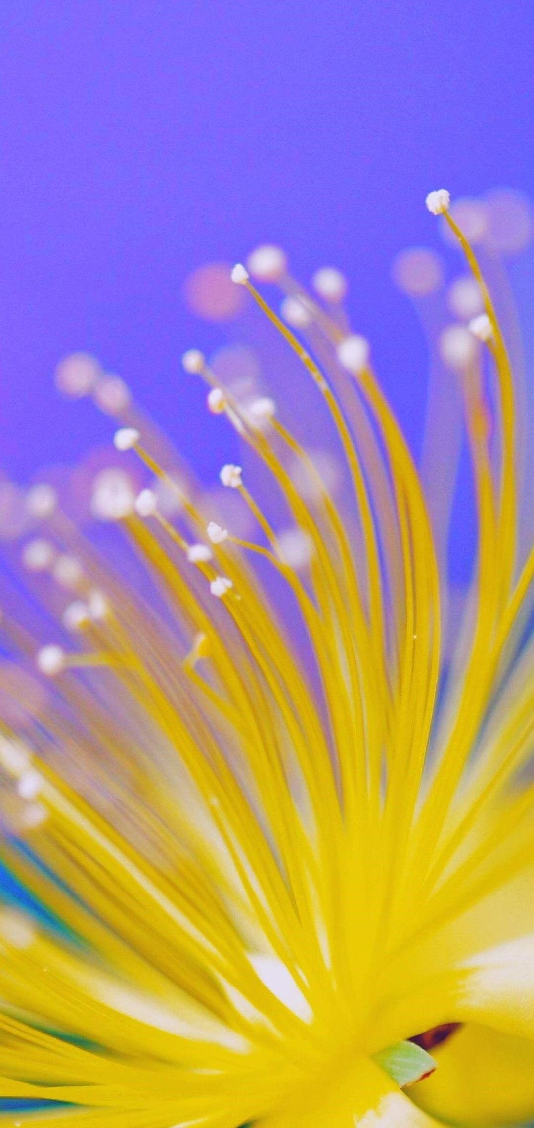 Spring Huawei P20 Wallpapers - Wallpaper Cave