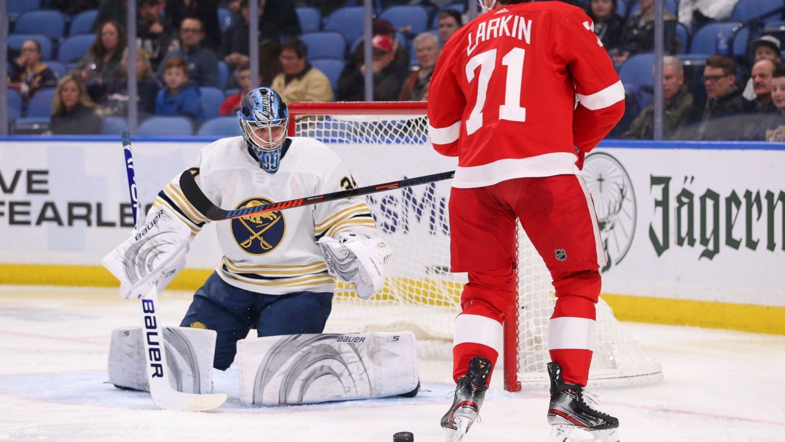 Dylan Larkin Desktop Wallpapers - Wallpaper Cave