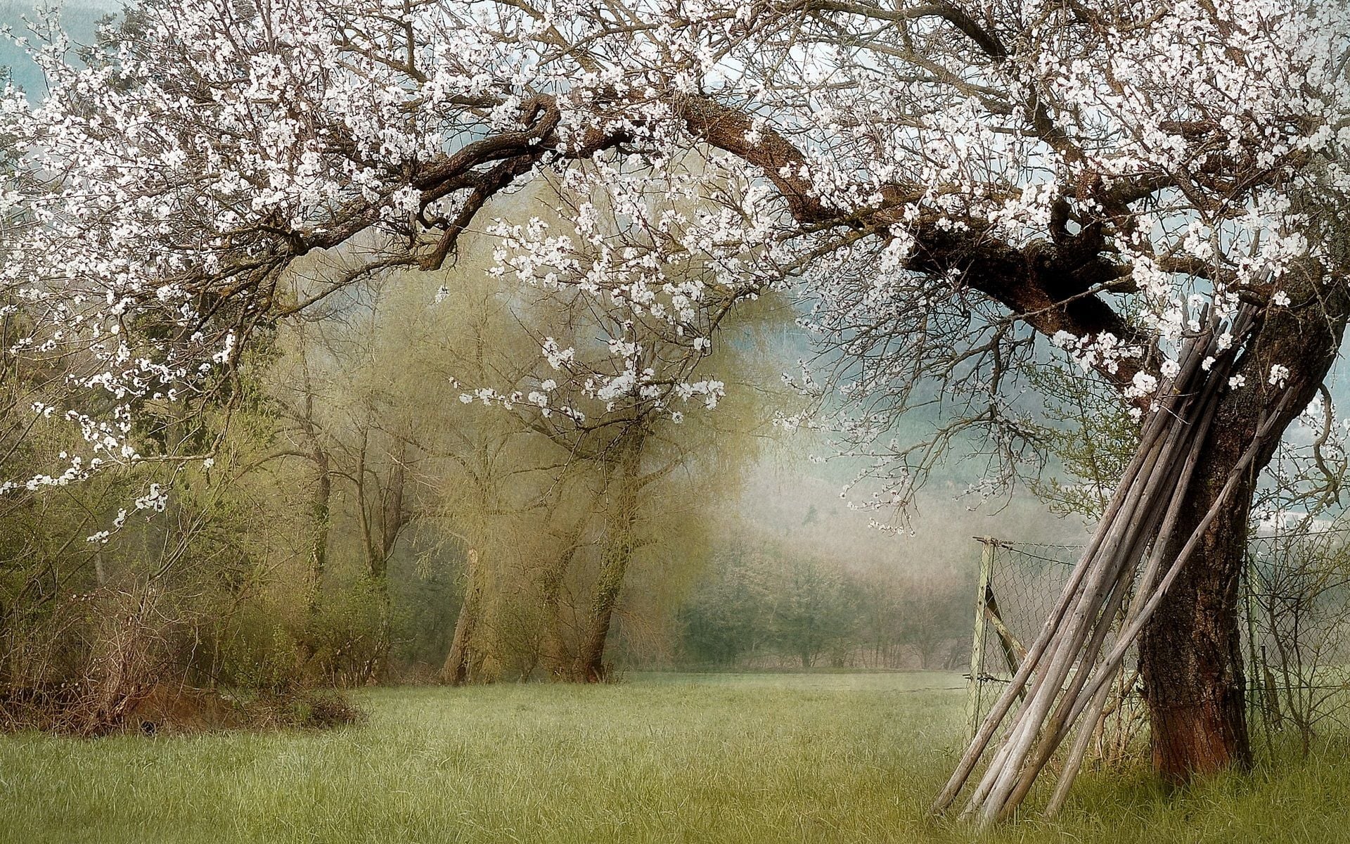 Spring Nostalgic Wallpapers - Wallpaper Cave