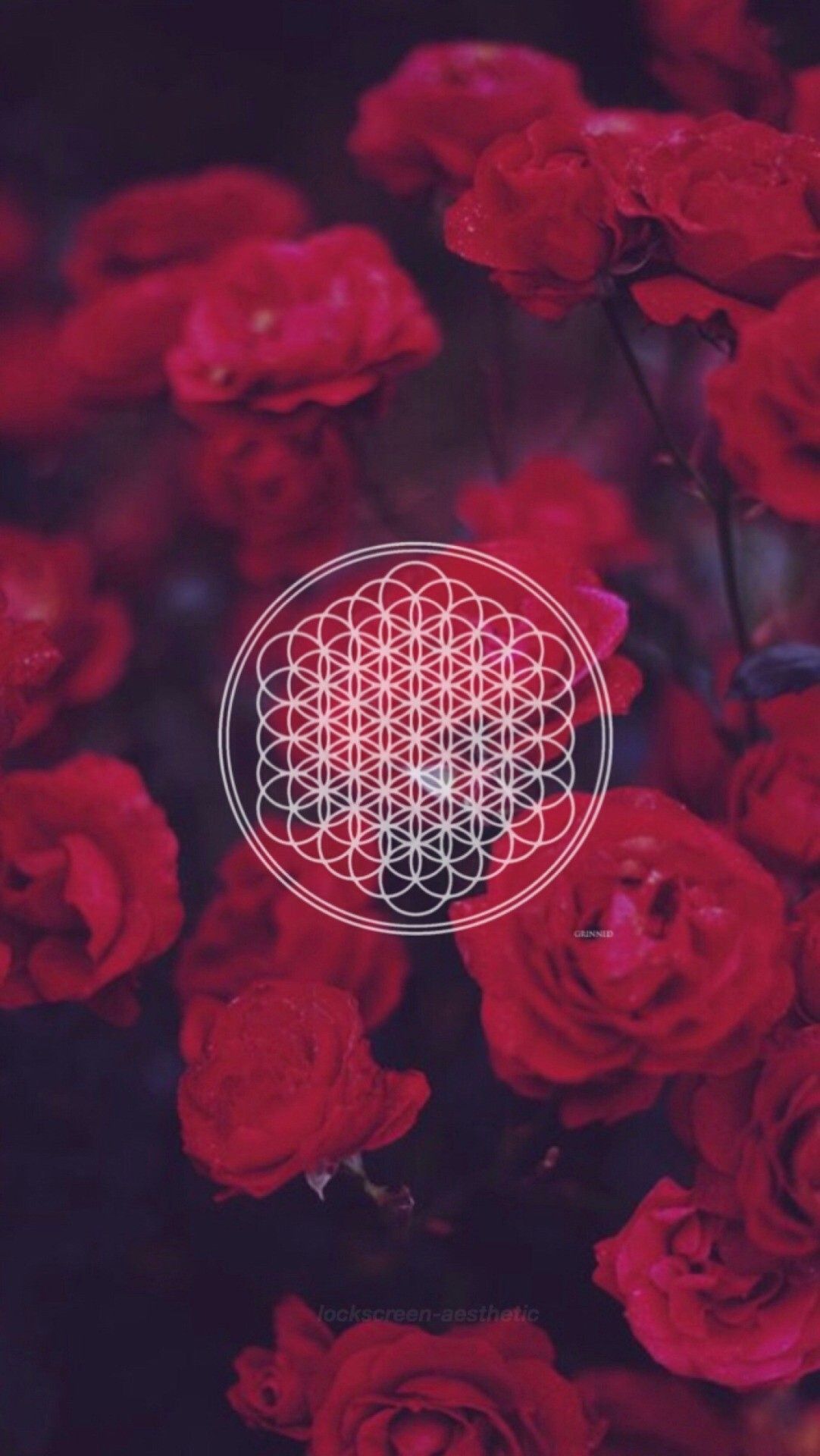 BMTH Amo Wallpapers - Wallpaper Cave