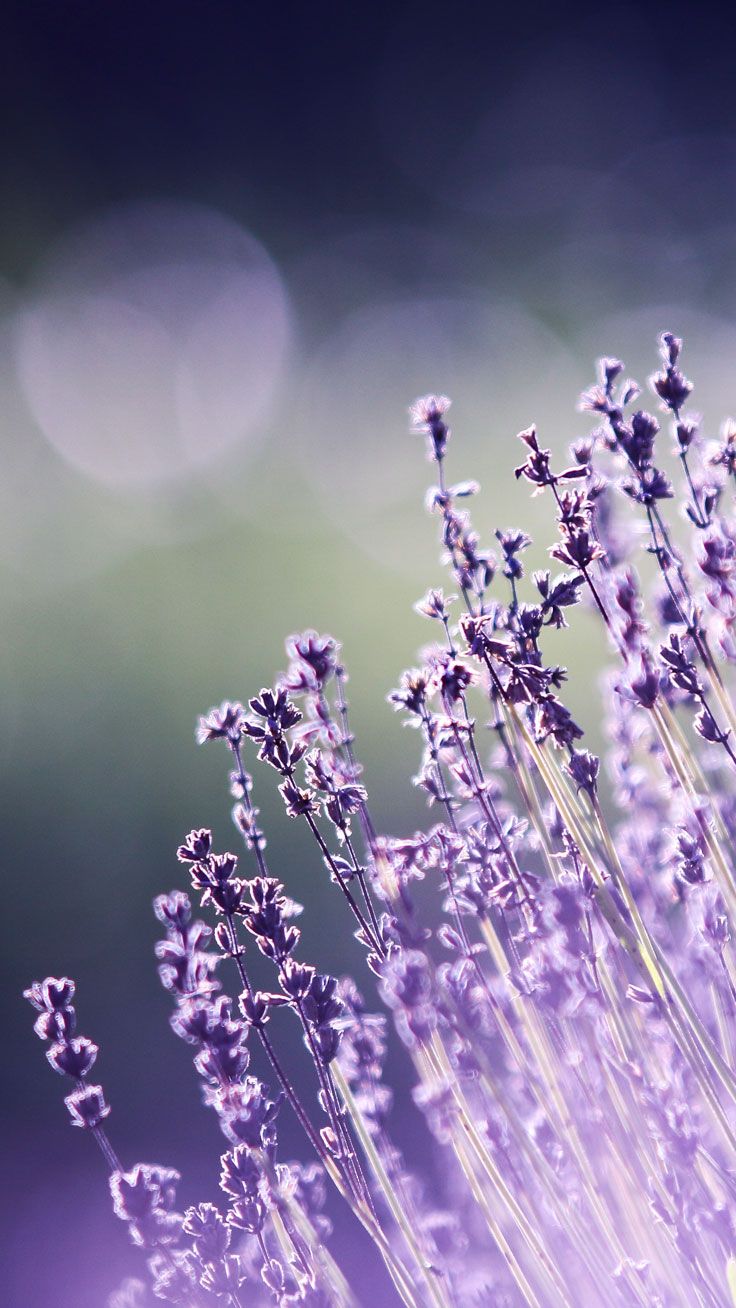 Spring Simple Wallpapers - Wallpaper Cave