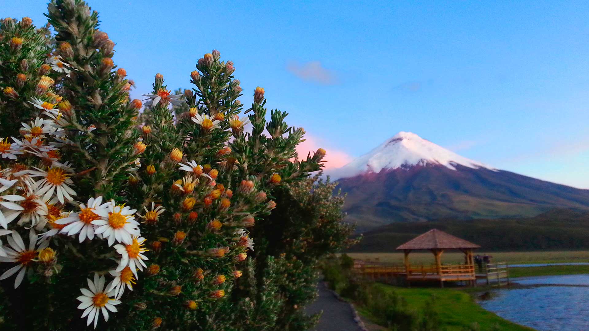 Cotopaxi Volcano Wallpapers - Wallpaper Cave