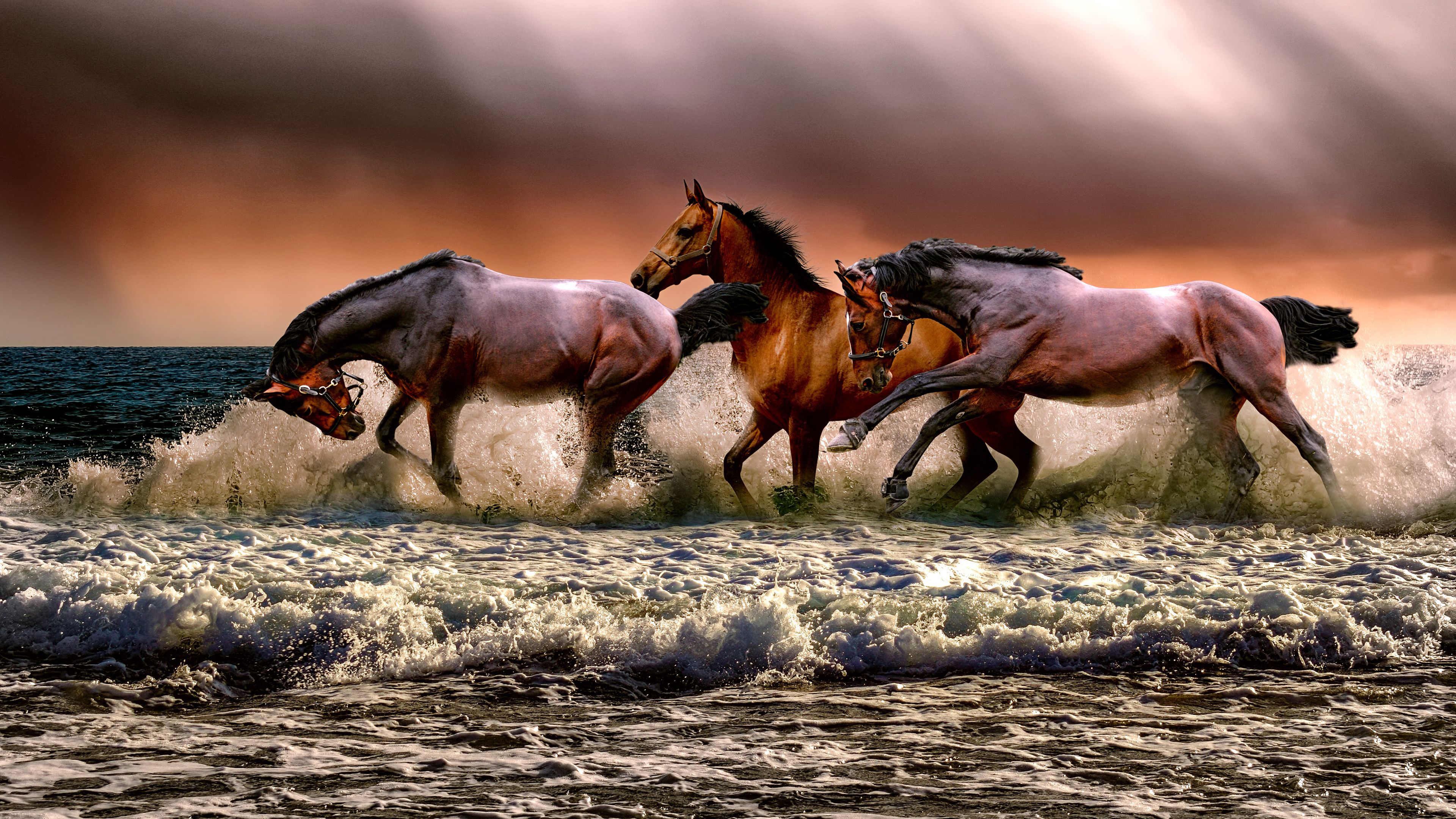 Desktop Running Horse Wallpapers - Wallpaper Cave