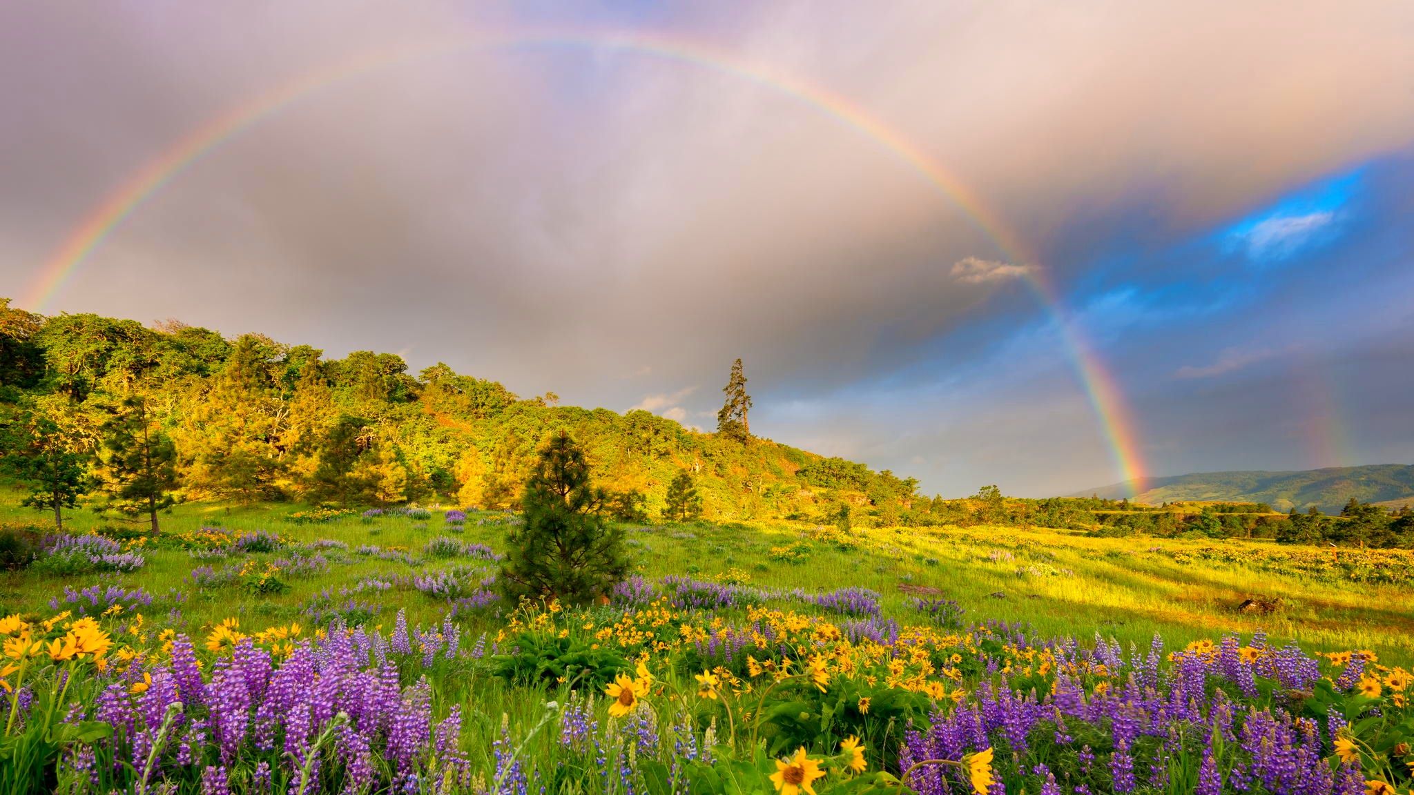 Rainbow Spring Nature Park Wallpapers - Wallpaper Cave Rainbow Spring Nature Park Wallpapers - Wallpaper Cave