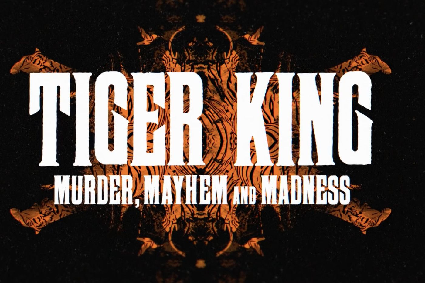 Tiger King: Murder, Mayhem And Madness Wallpapers - Wallpaper Cave