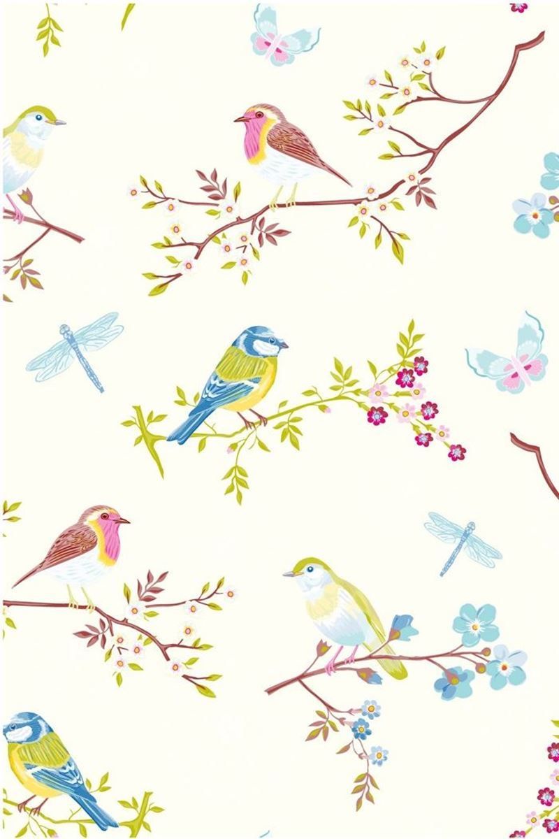 Early Bird Wallpapers - Wallpaper Cave