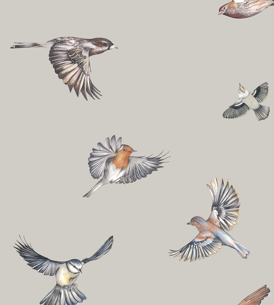 Early Bird Wallpapers - Wallpaper Cave