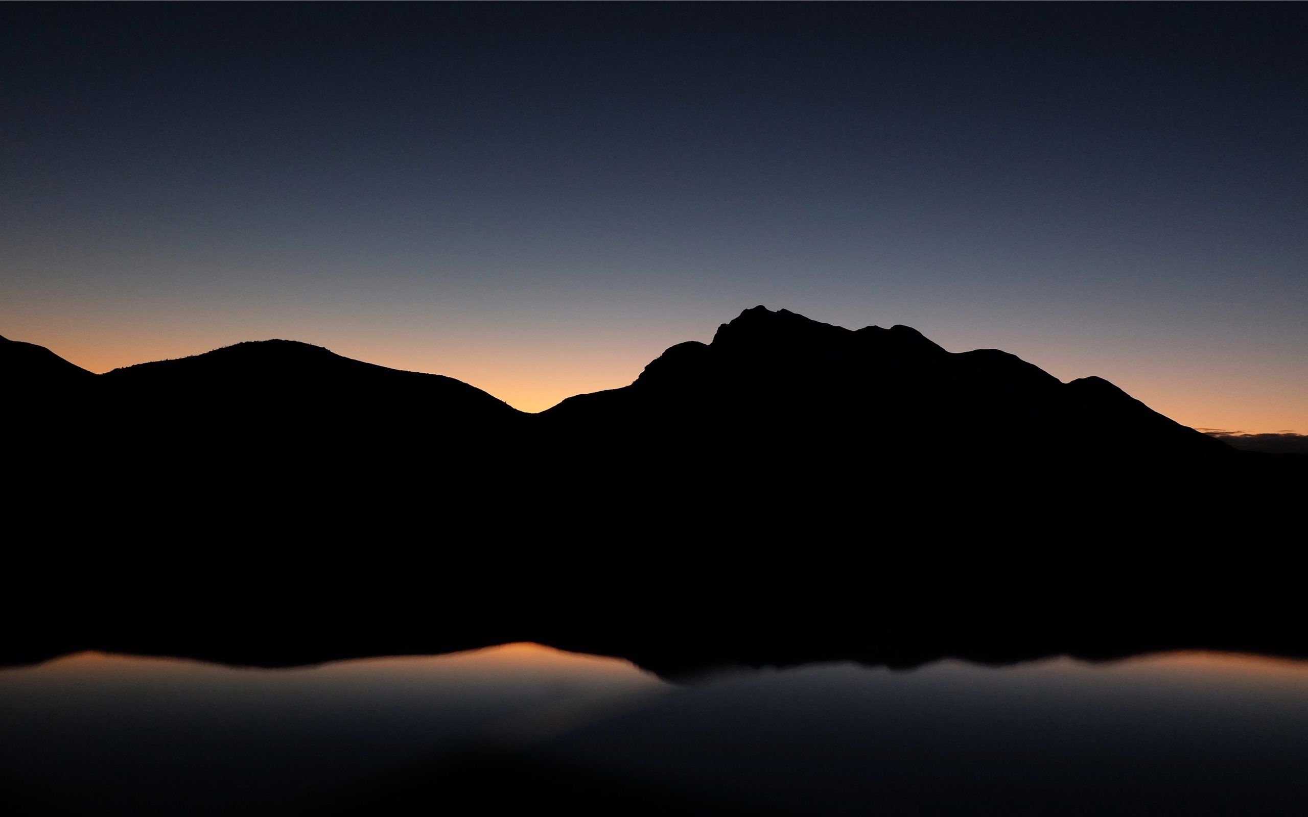 Early Bird Wallpapers - Wallpaper Cave