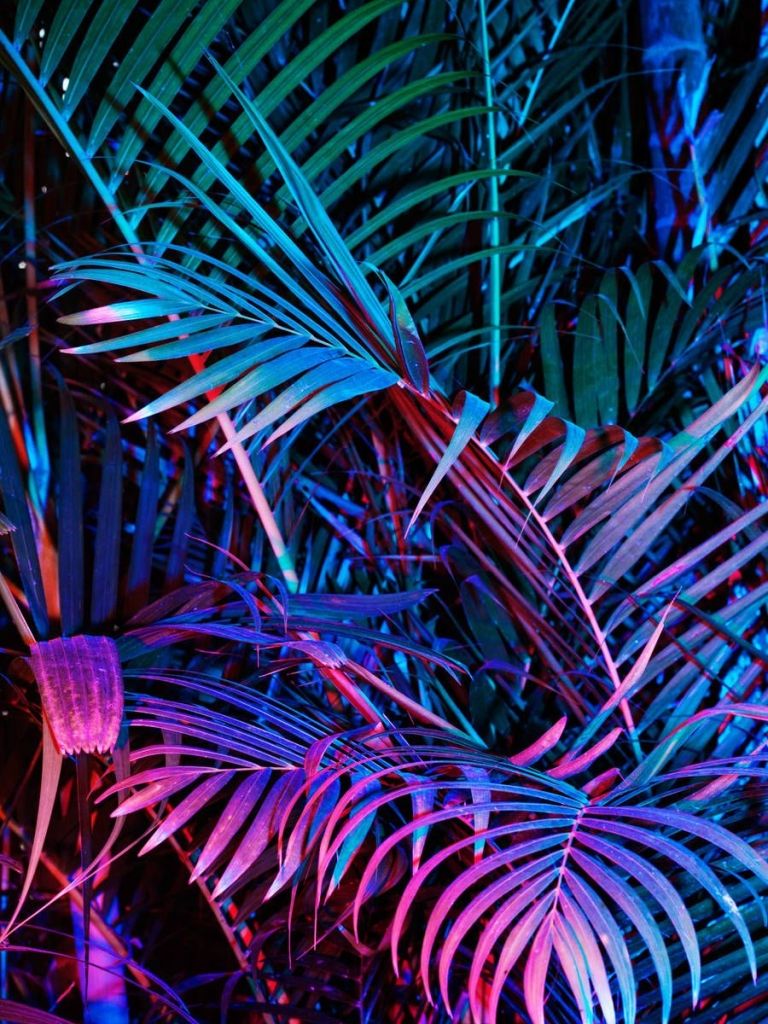 Supreme Aesthetics Wallpapers - Wallpaper Cave