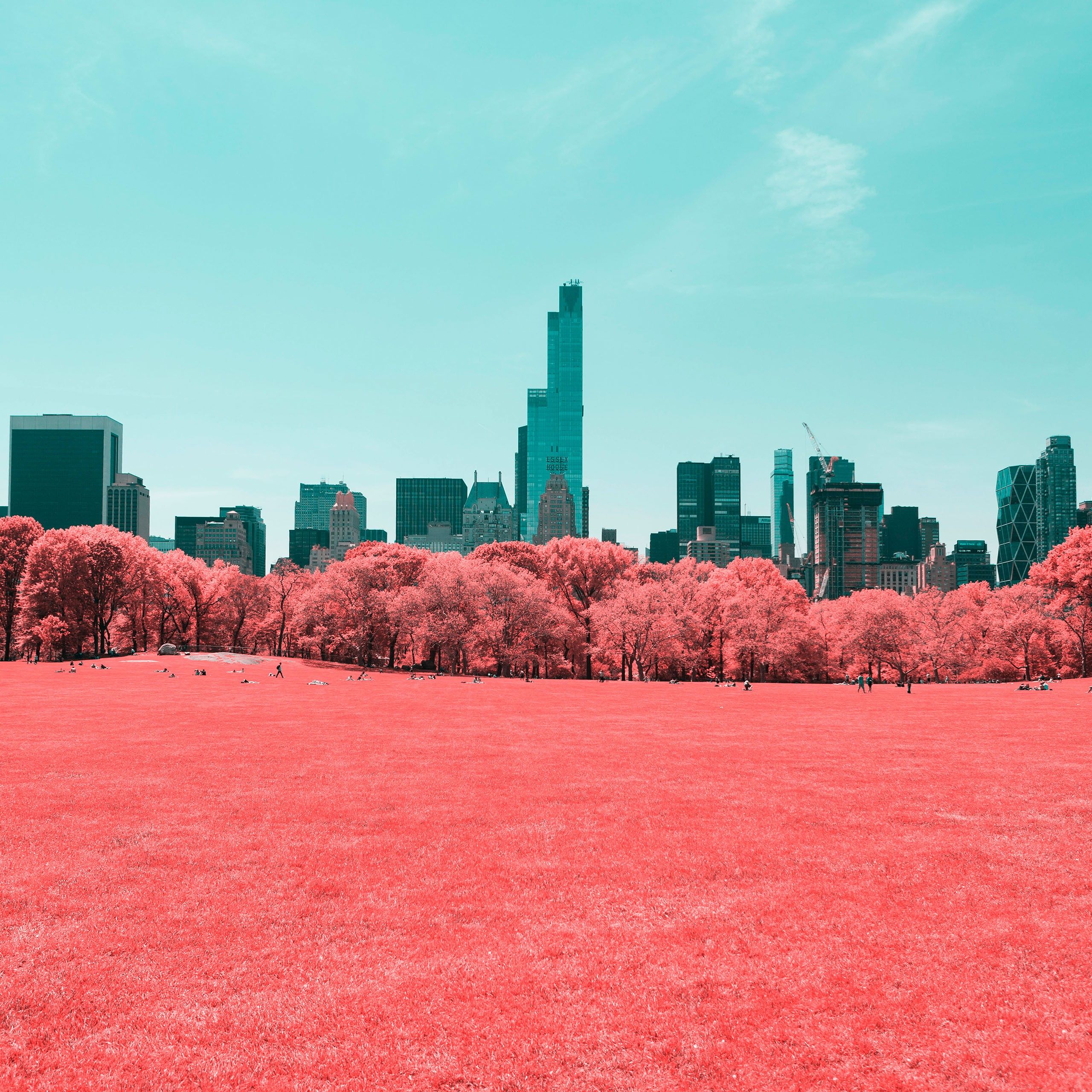 Central Park Spring HD Wallpapers - Wallpaper Cave