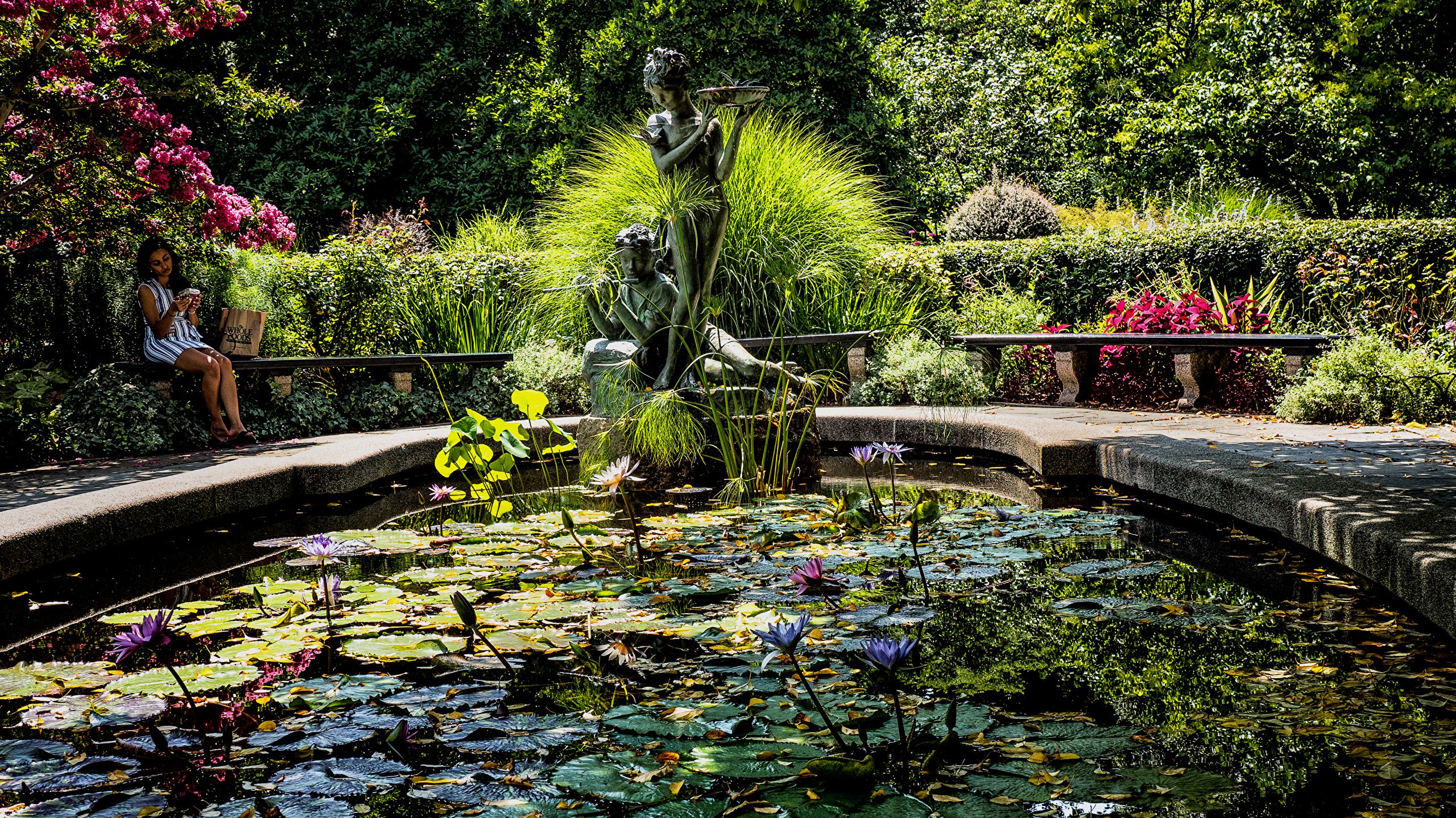 Central Park Spring HD Wallpapers - Wallpaper Cave