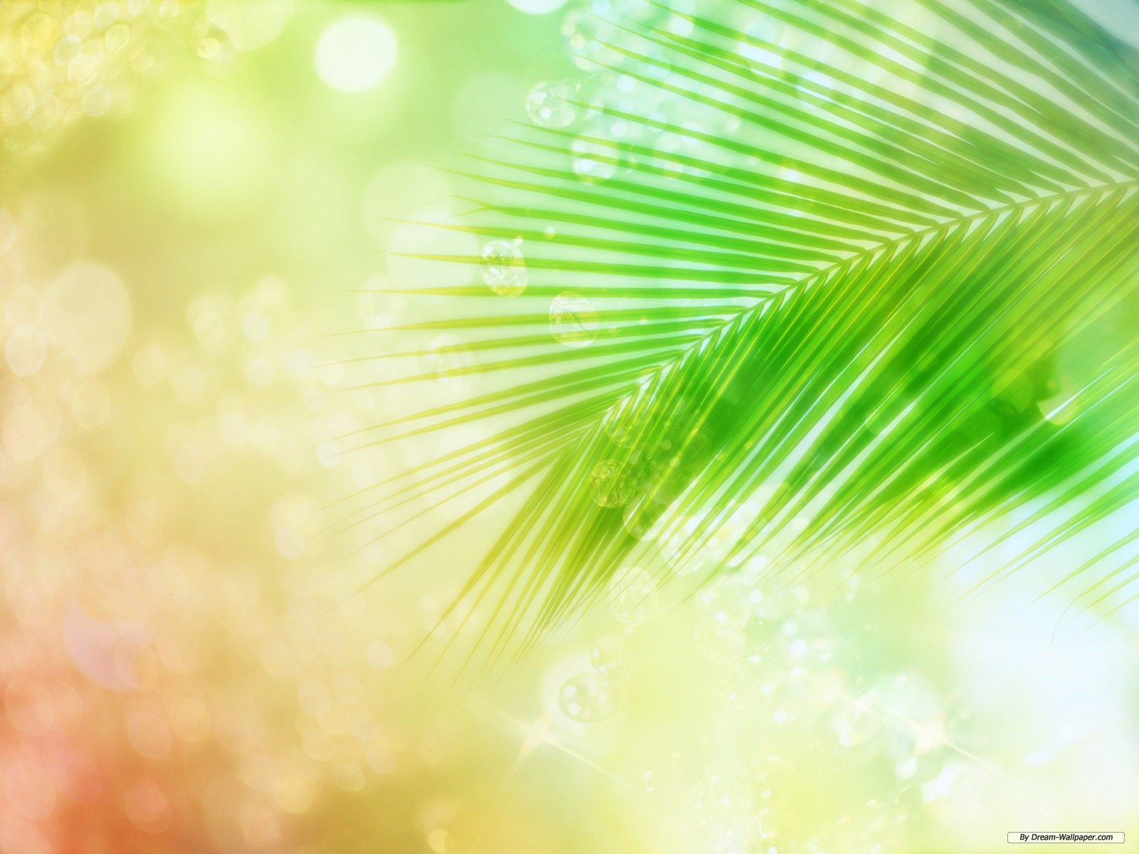 Summer/spring Wallpapers - Wallpaper Cave