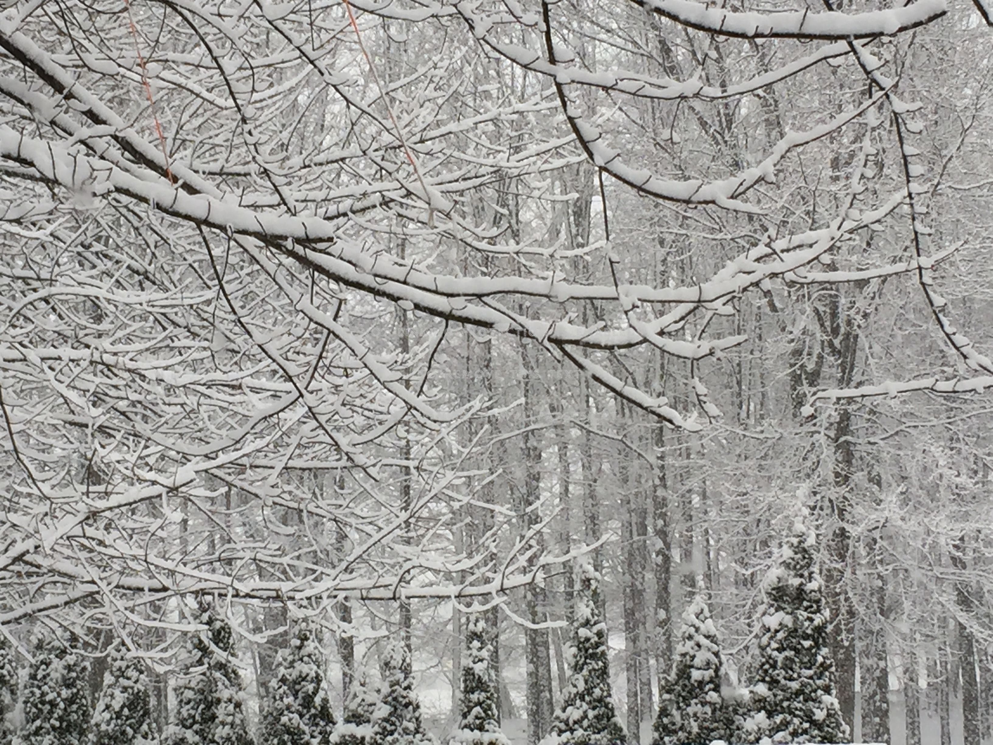 Spring Pennsylvania Wallpapers - Wallpaper Cave