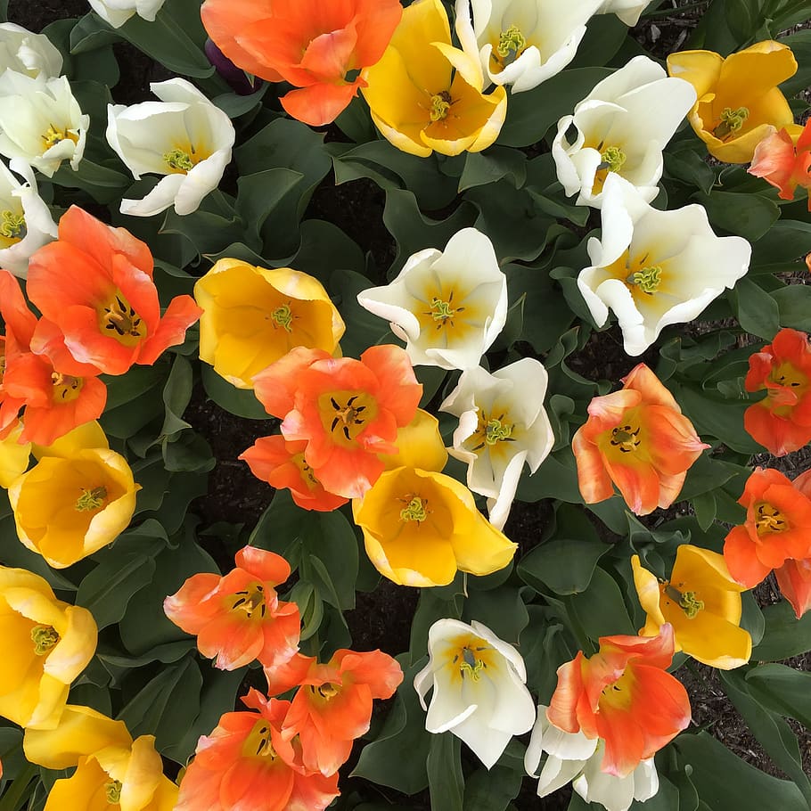 Spring Pennsylvania Wallpapers - Wallpaper Cave