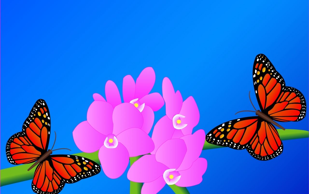 Colours Spring Wallpapers - Wallpaper Cave