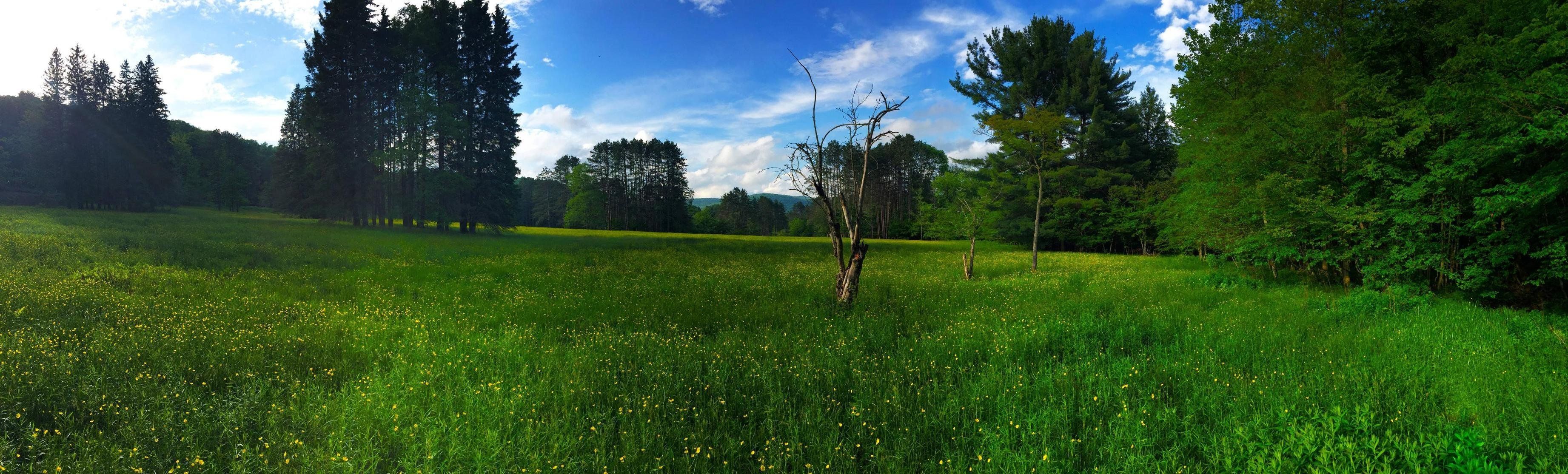 Spring Pennsylvania Wallpapers - Wallpaper Cave