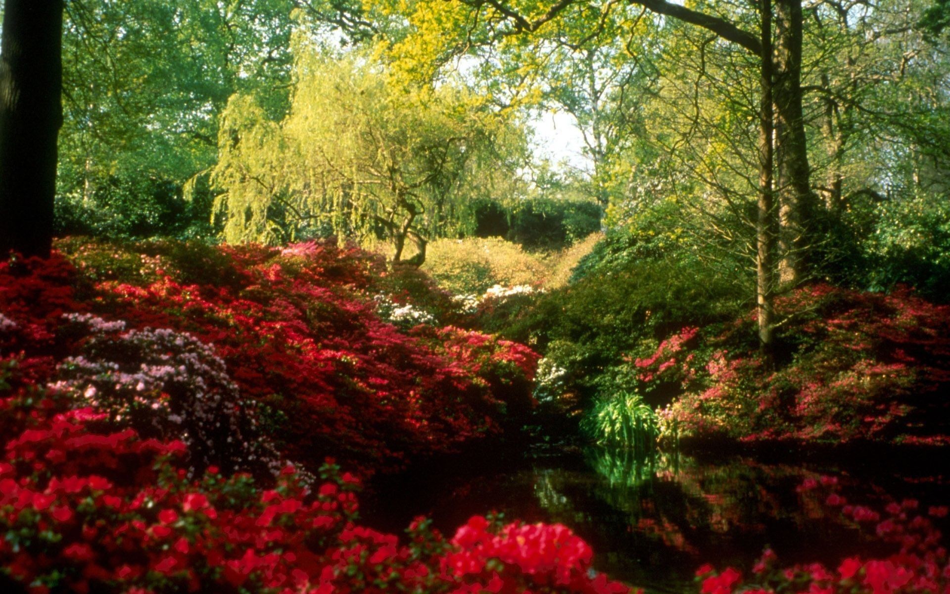 Spring Scenry Wallpapers - Wallpaper Cave