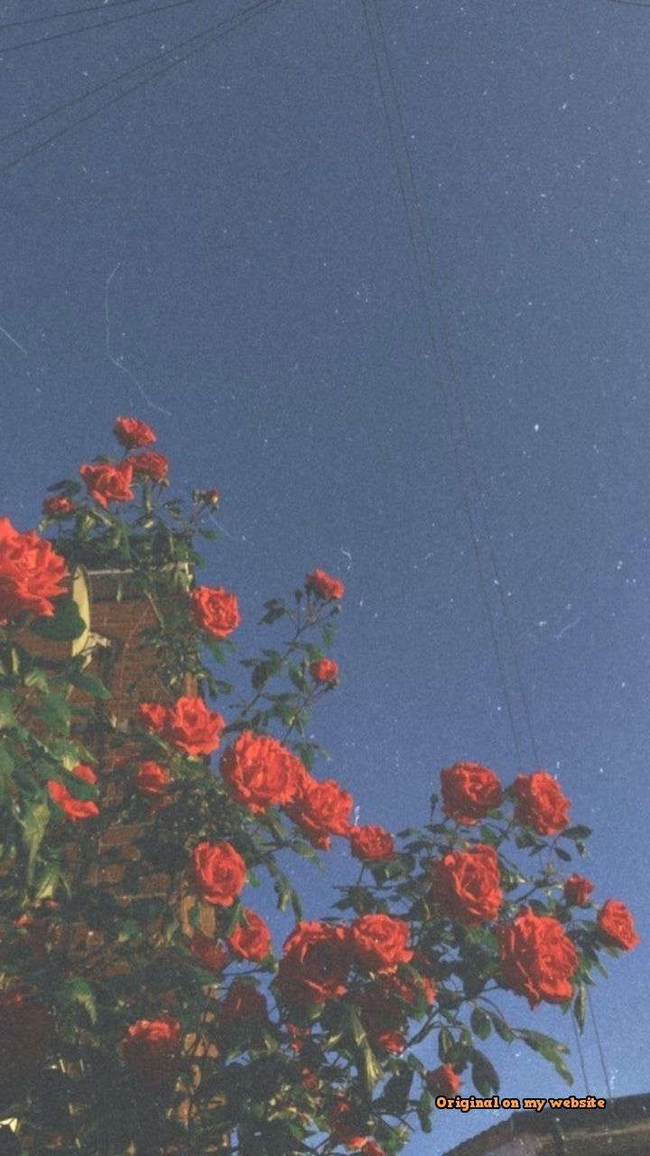 Home Screen Aesthetic Wallpapers - Wallpaper Cave