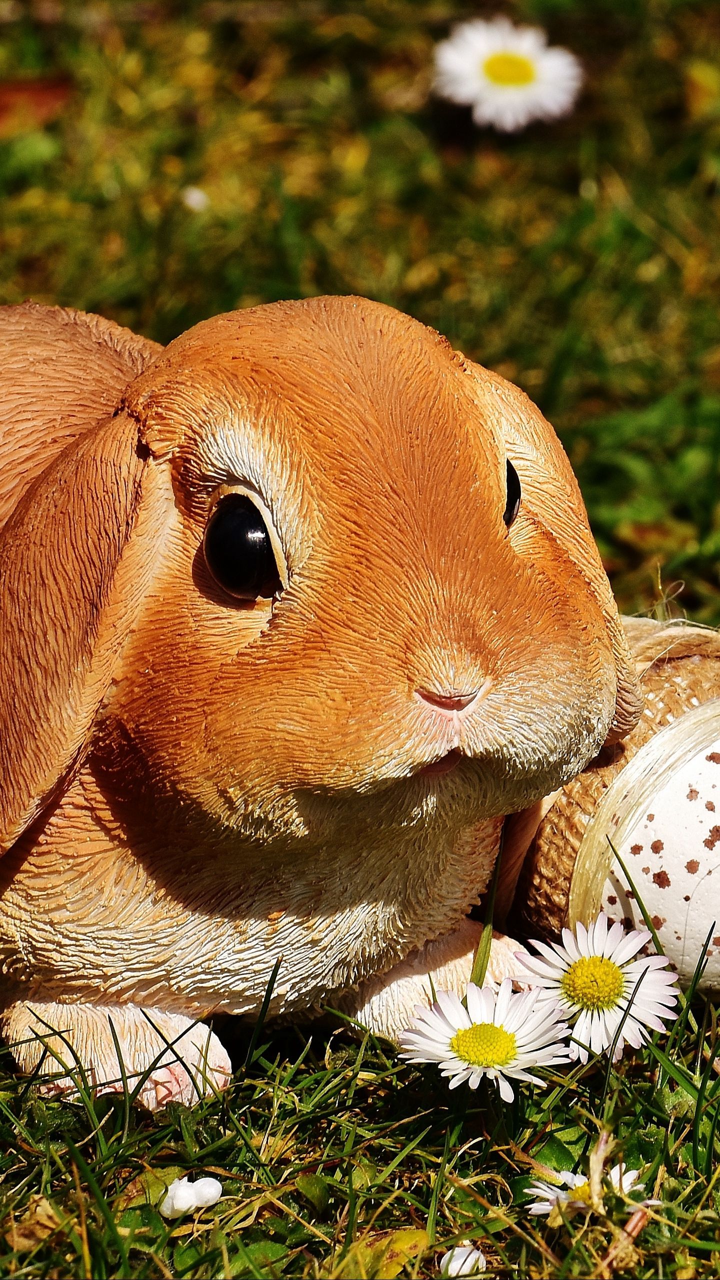 Easter Rabbit Egg Wallpapers - Wallpaper Cave