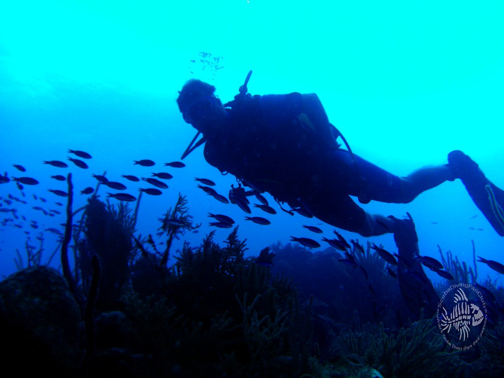 Scuba Diver Wallpapers - Wallpaper Cave