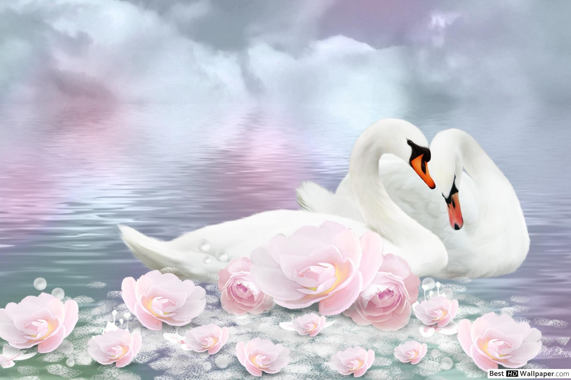 Lotus Rose Mix Wallpapers - Wallpaper Cave