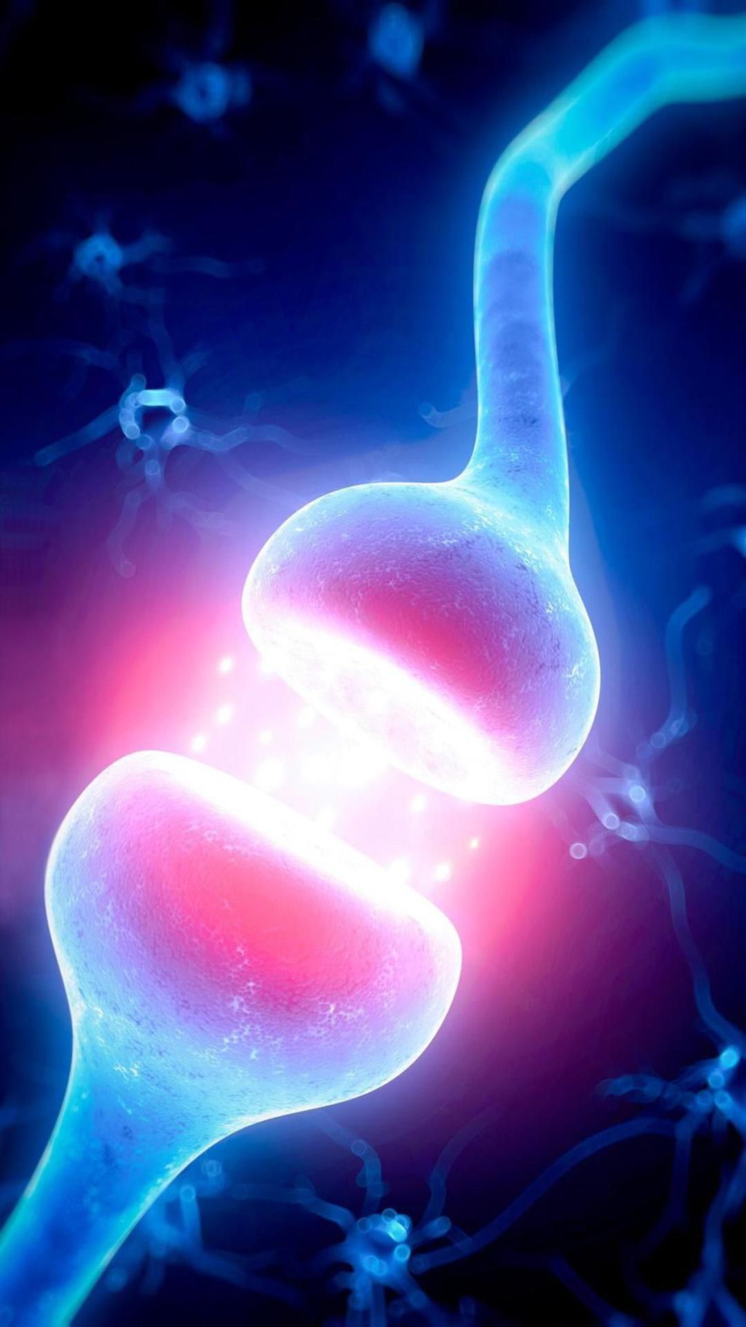 Phone Neuron Wallpapers - Wallpaper Cave