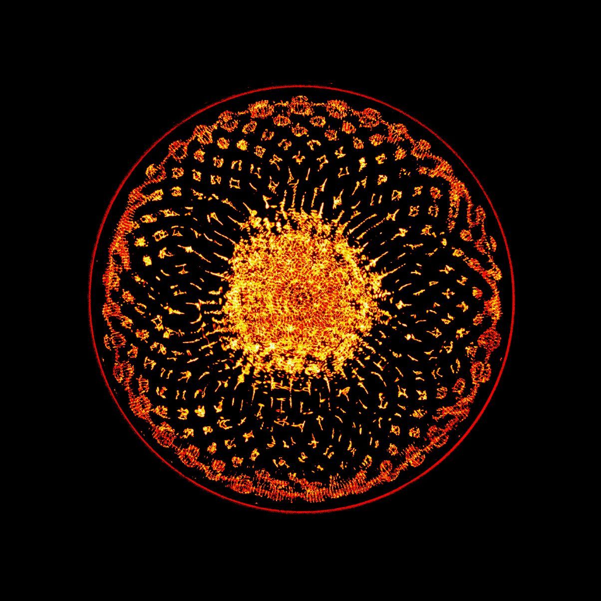 Cymatic Desktop Wallpapers - Wallpaper Cave