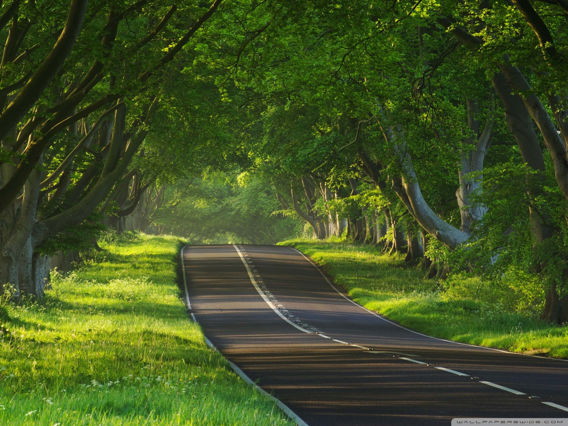 Long Drive Wallpapers - Wallpaper Cave