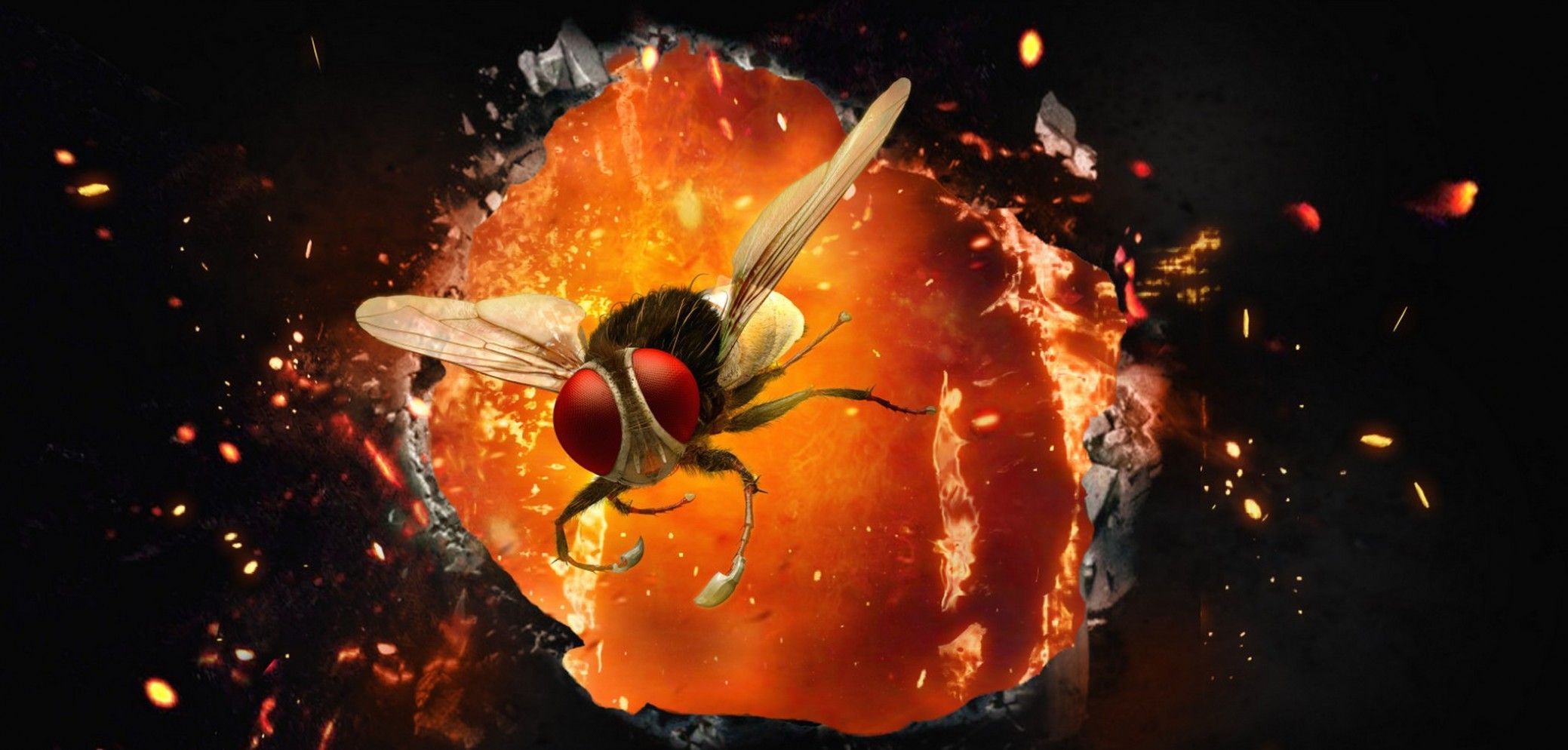 Eega Movie Wallpapers - Wallpaper Cave