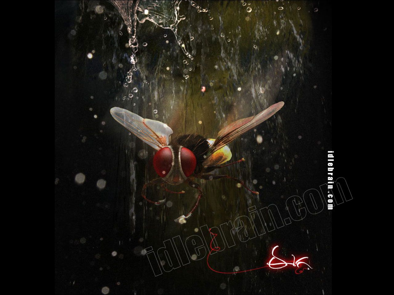Eega Wallpapers - Wallpaper Cave
