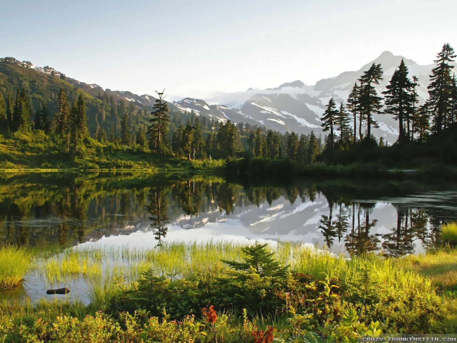 Late Spring Wallpapers - Wallpaper Cave