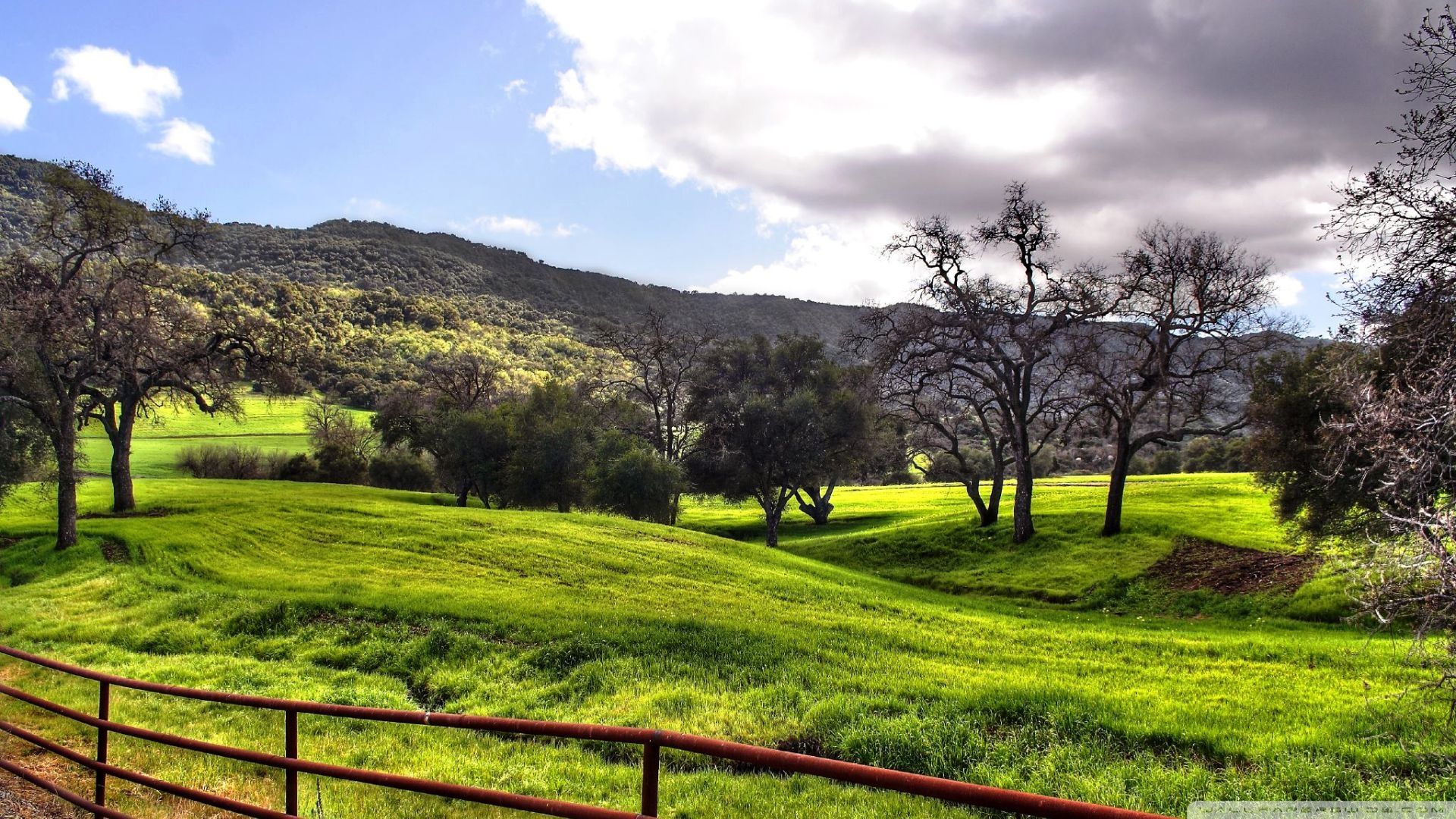 Late Spring Wallpapers - Wallpaper Cave