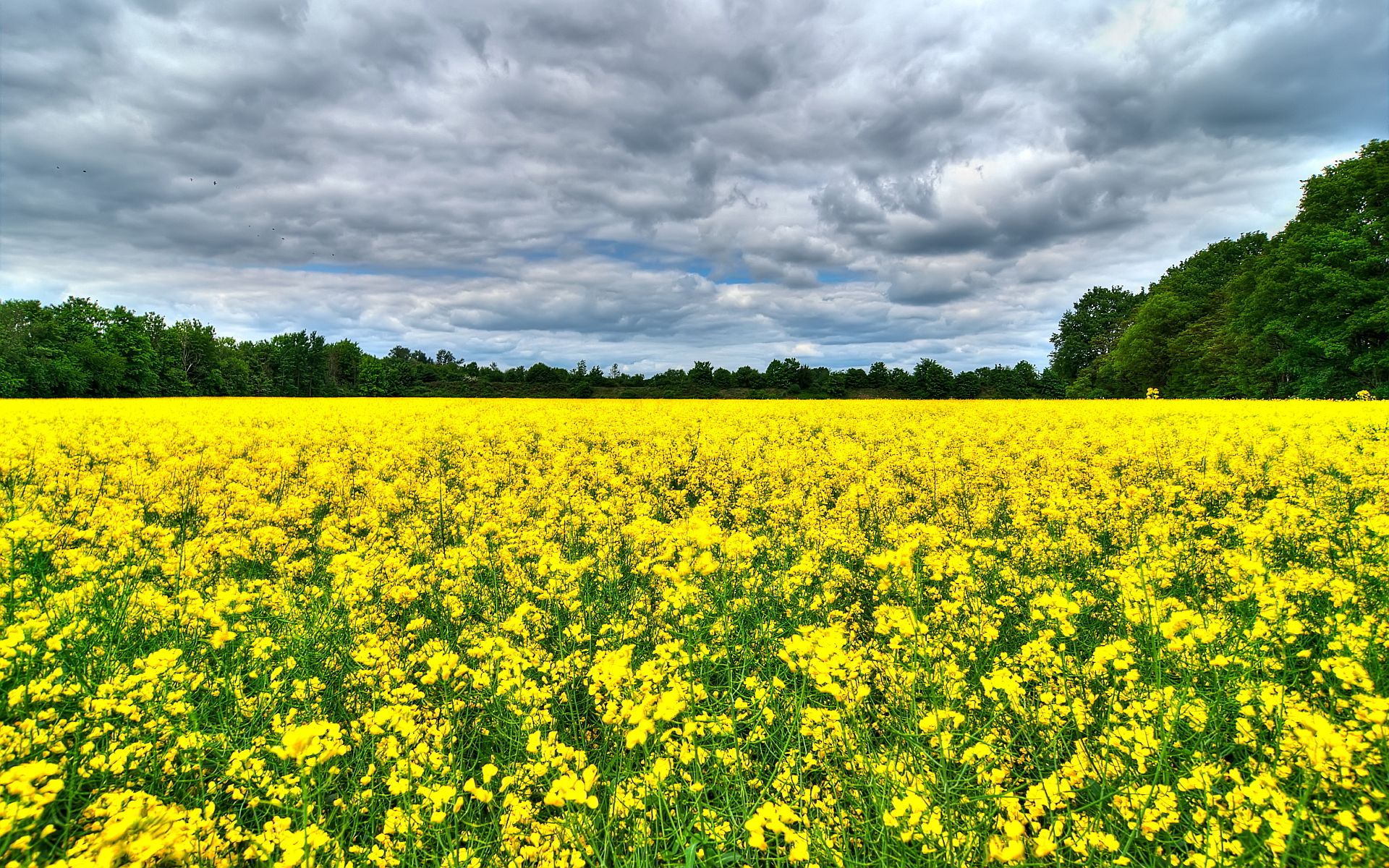 Late Spring Wallpapers - Wallpaper Cave