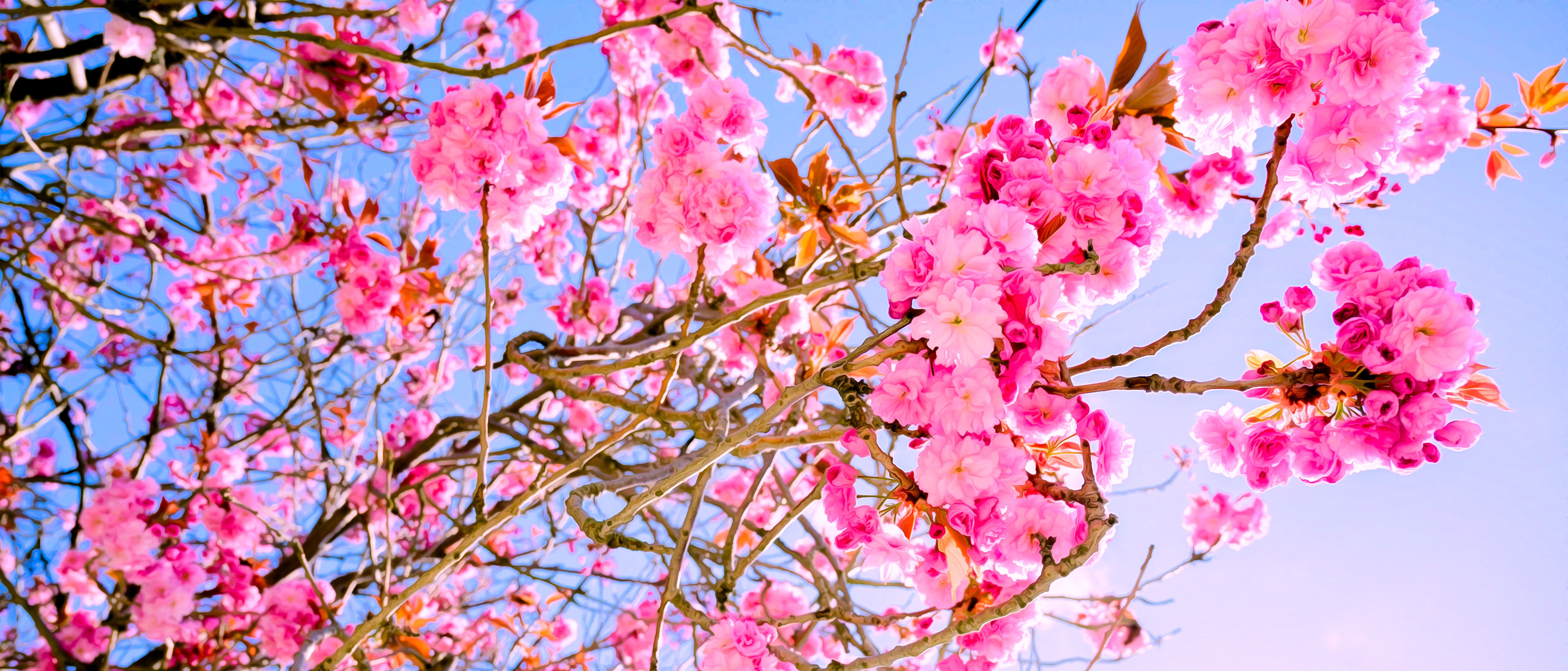 Late Spring Wallpapers - Wallpaper Cave