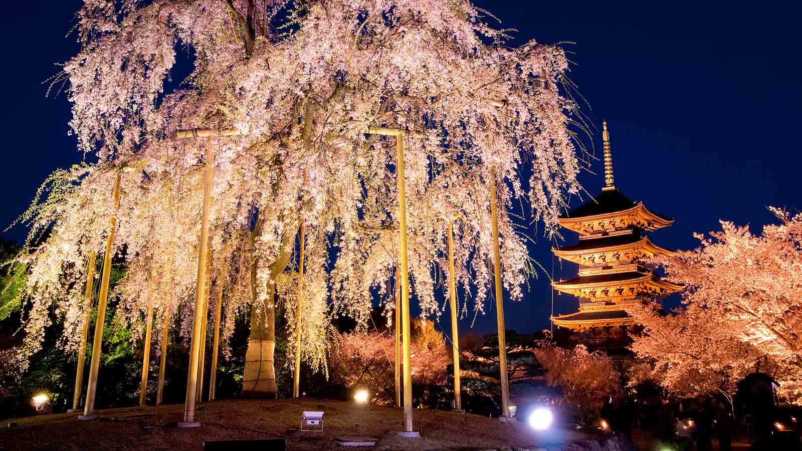 Springtime In Kyoto Wallpapers - Wallpaper Cave