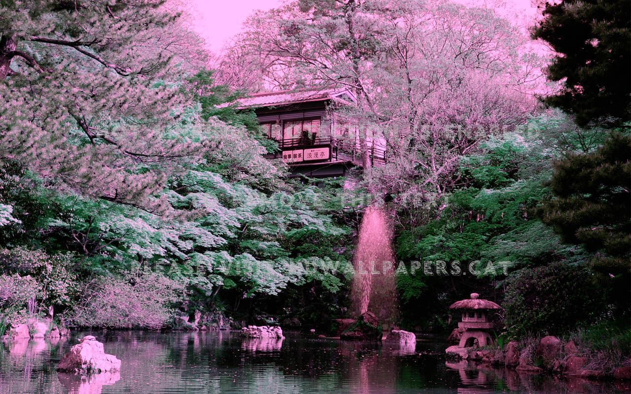 Springtime In Kyoto Wallpapers - Wallpaper Cave