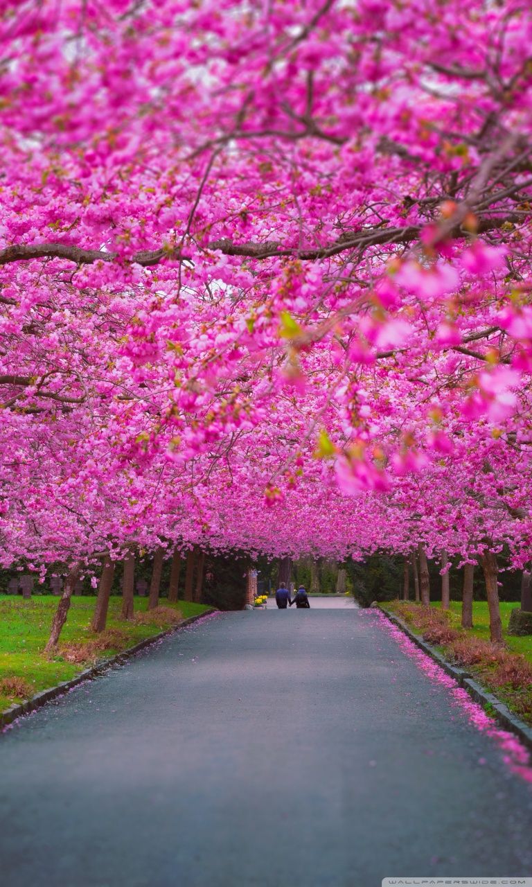 Romantic Phone Wallpapers - Wallpaper Cave