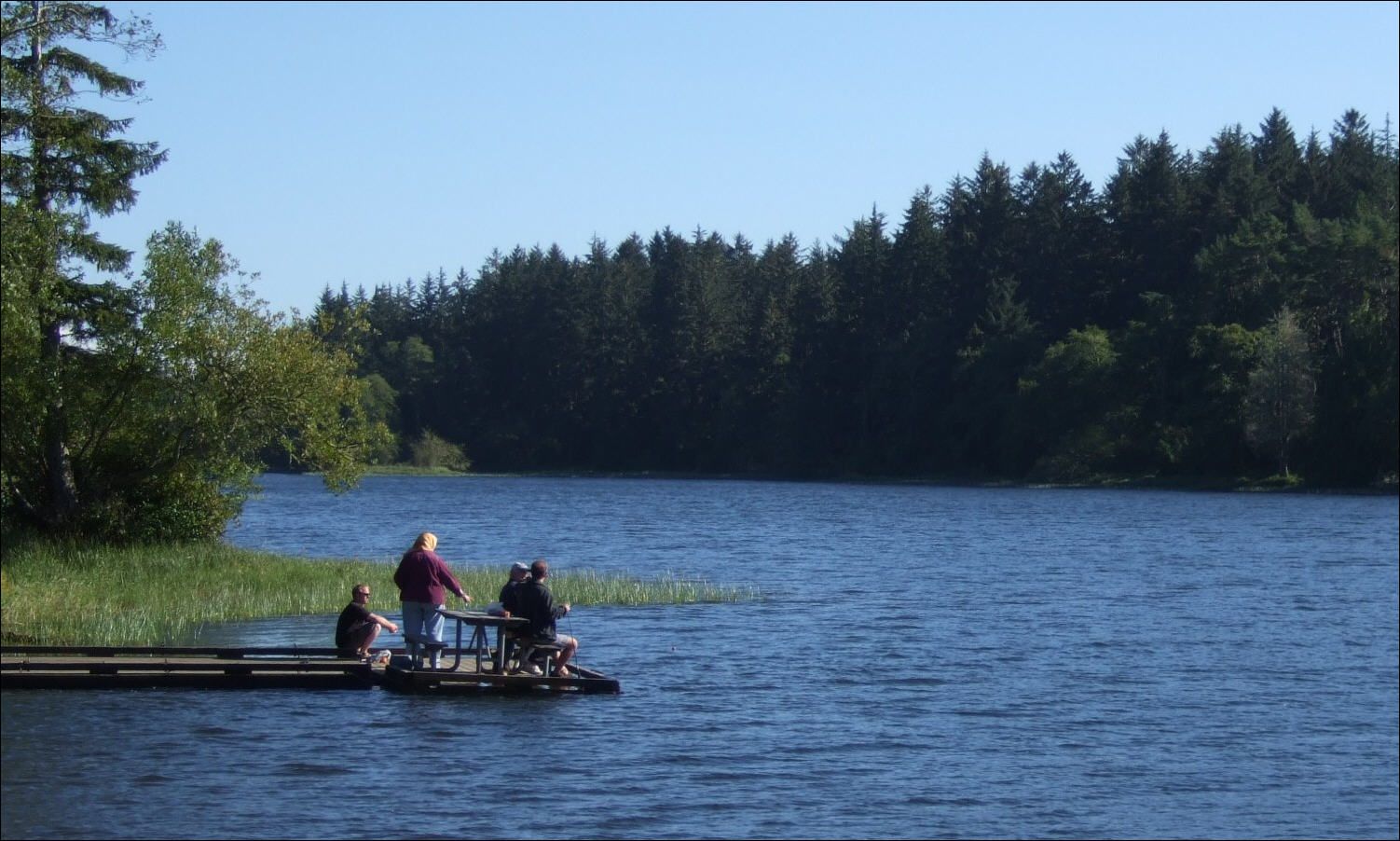 Fish In Lake Wallpapers - Wallpaper Cave