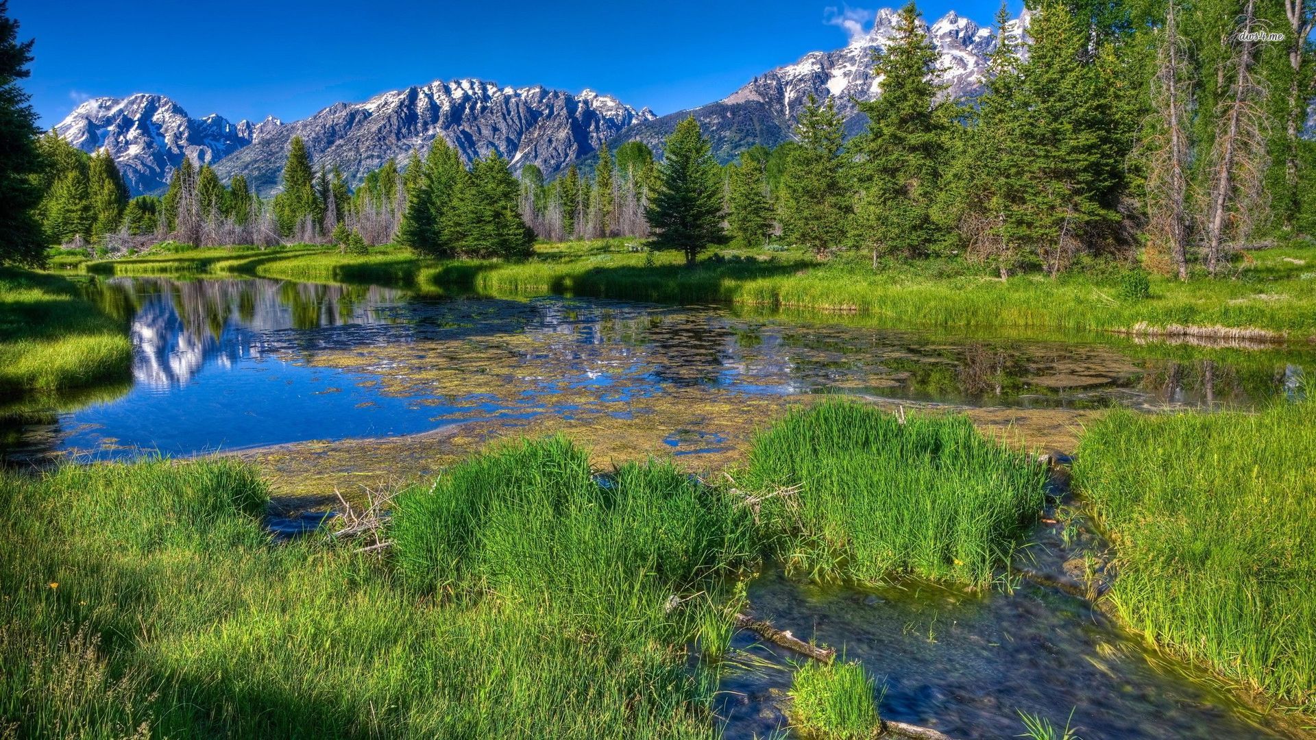 Spring Creek Wallpapers - Wallpaper Cave