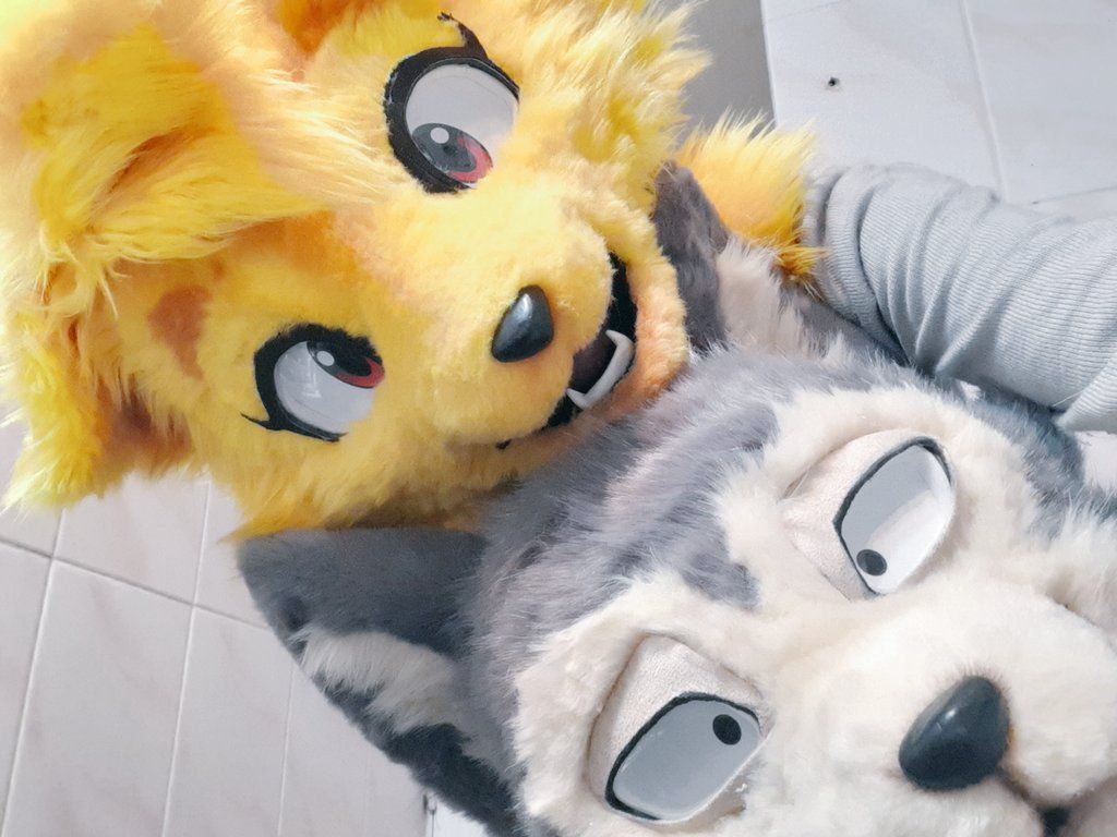 Legoshi Wallpapers - Wallpaper Cave