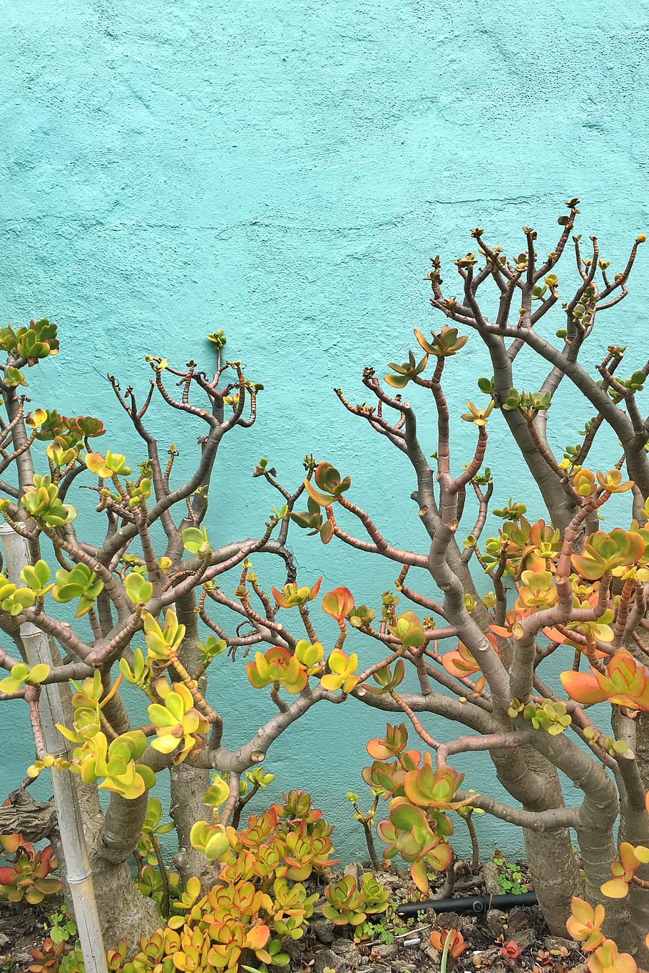 Spring Vibe Wallpapers - Wallpaper Cave