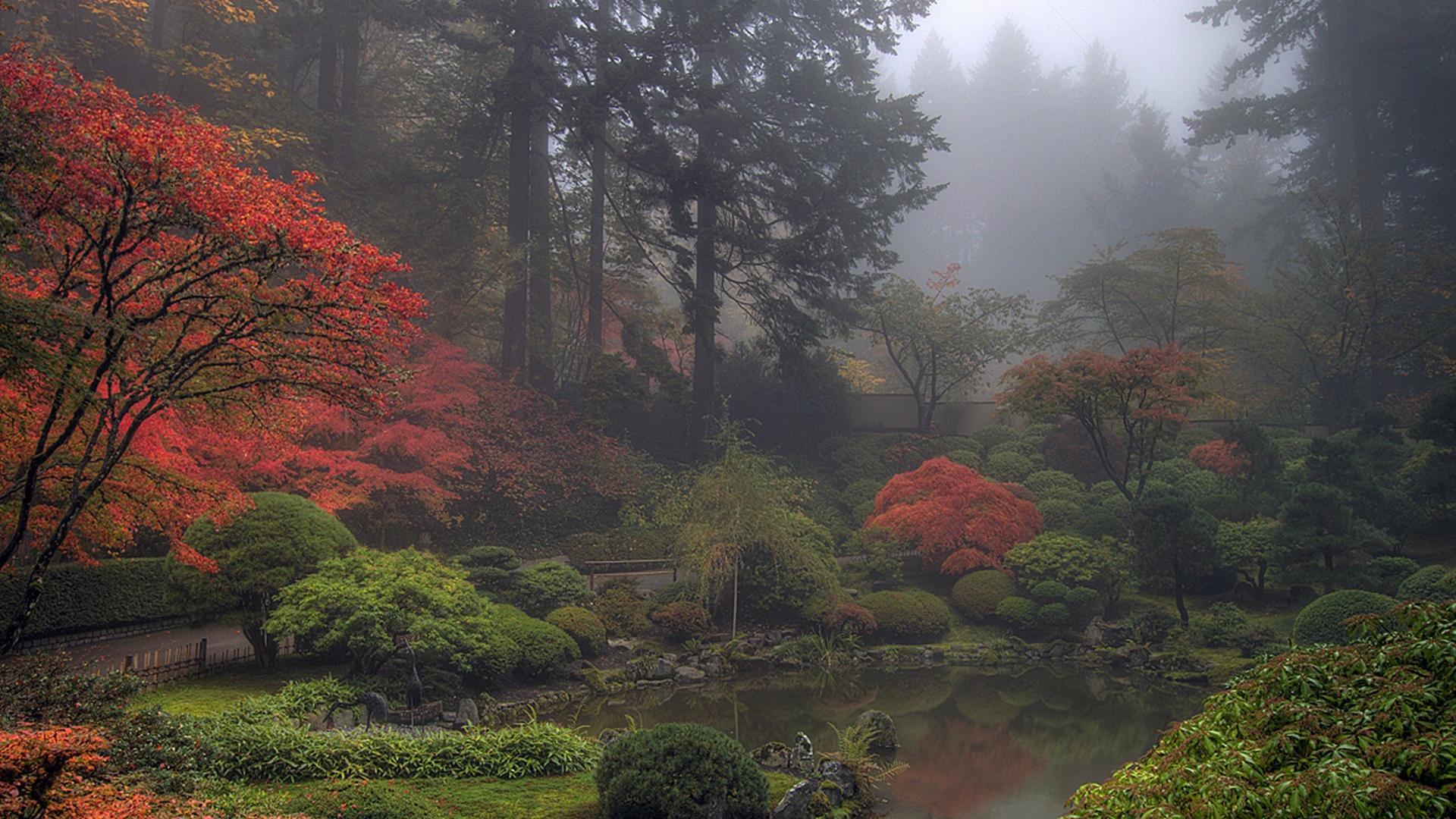 Spring Mist Wallpapers - Wallpaper Cave