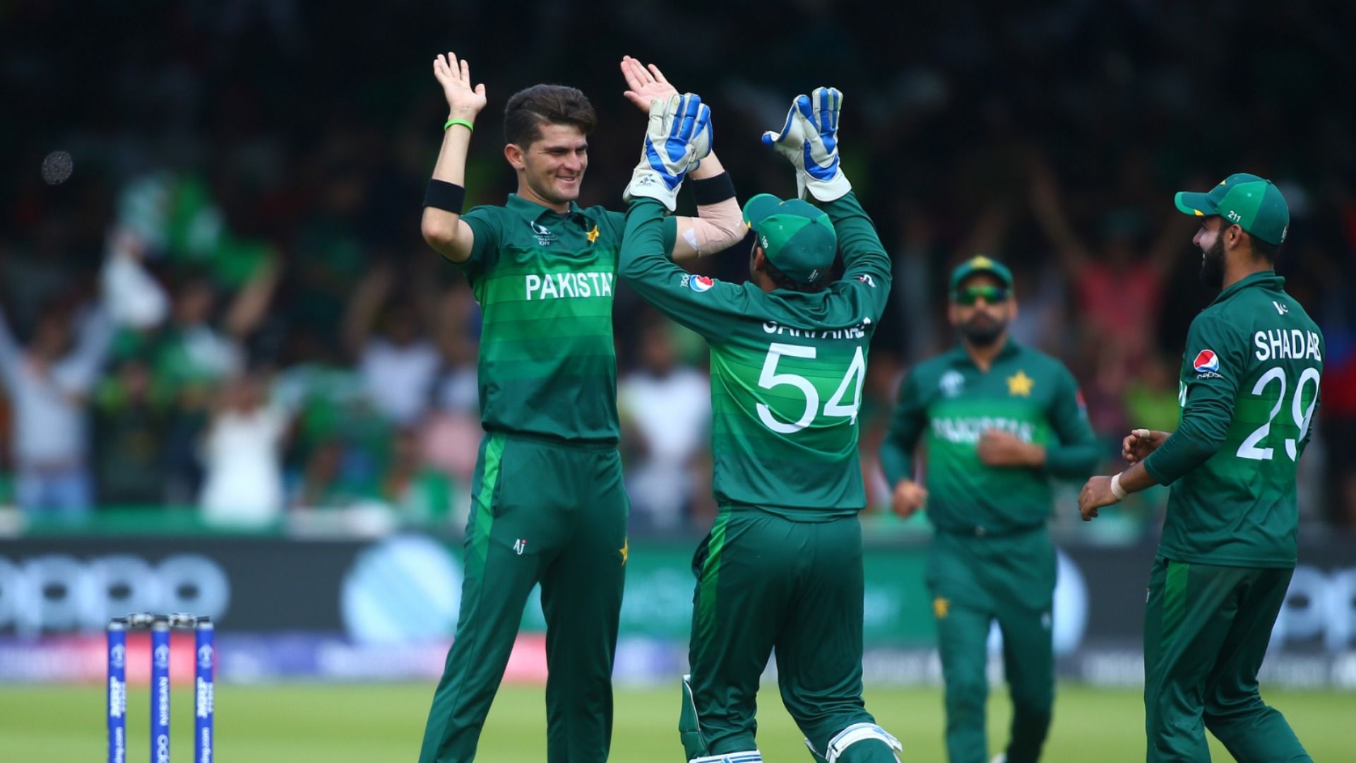 Shaheen Afridi Wallpapers - Wallpaper Cave