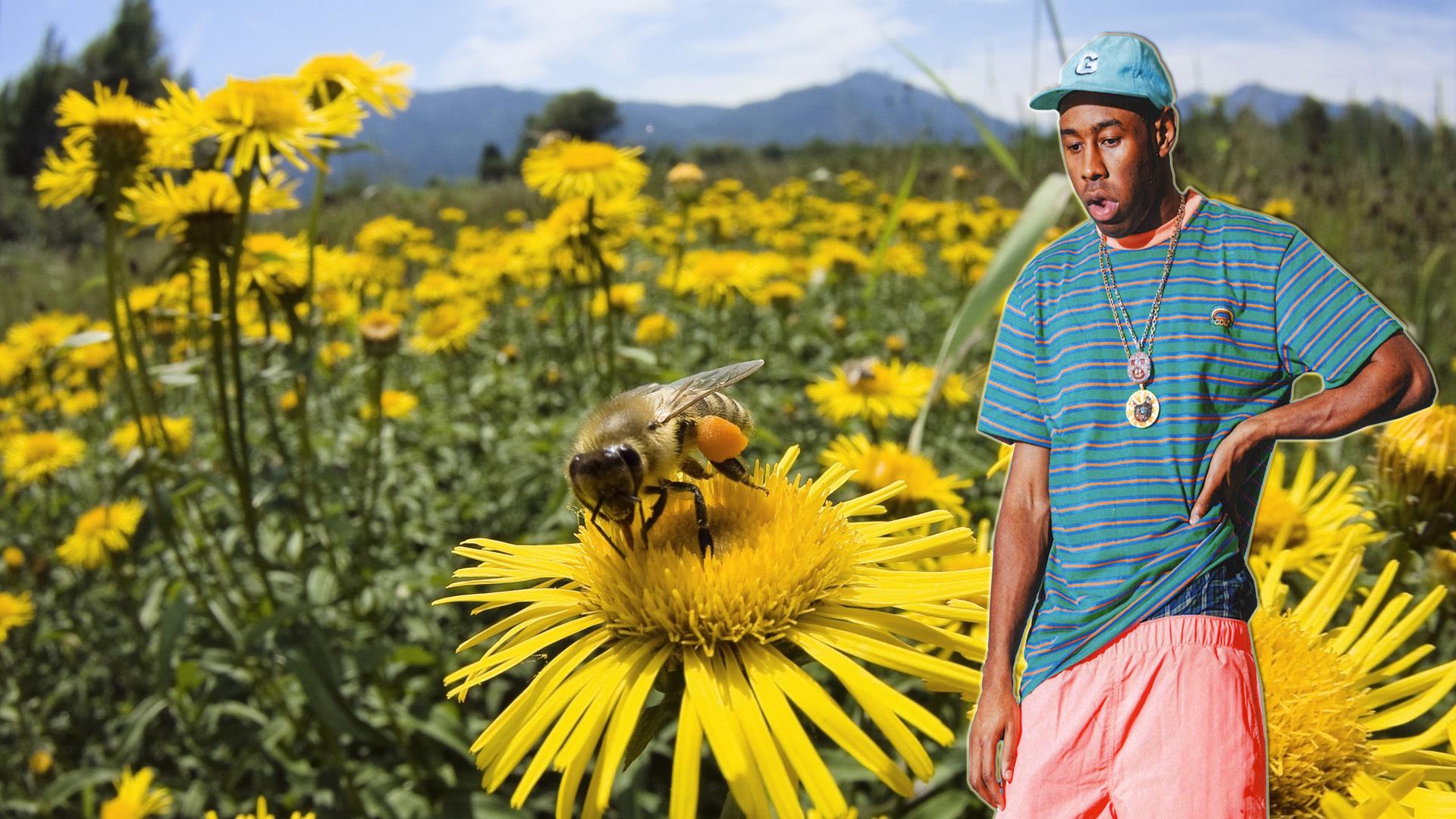 Tyler The Creator Computer HD Wallpapers - Wallpaper Cave